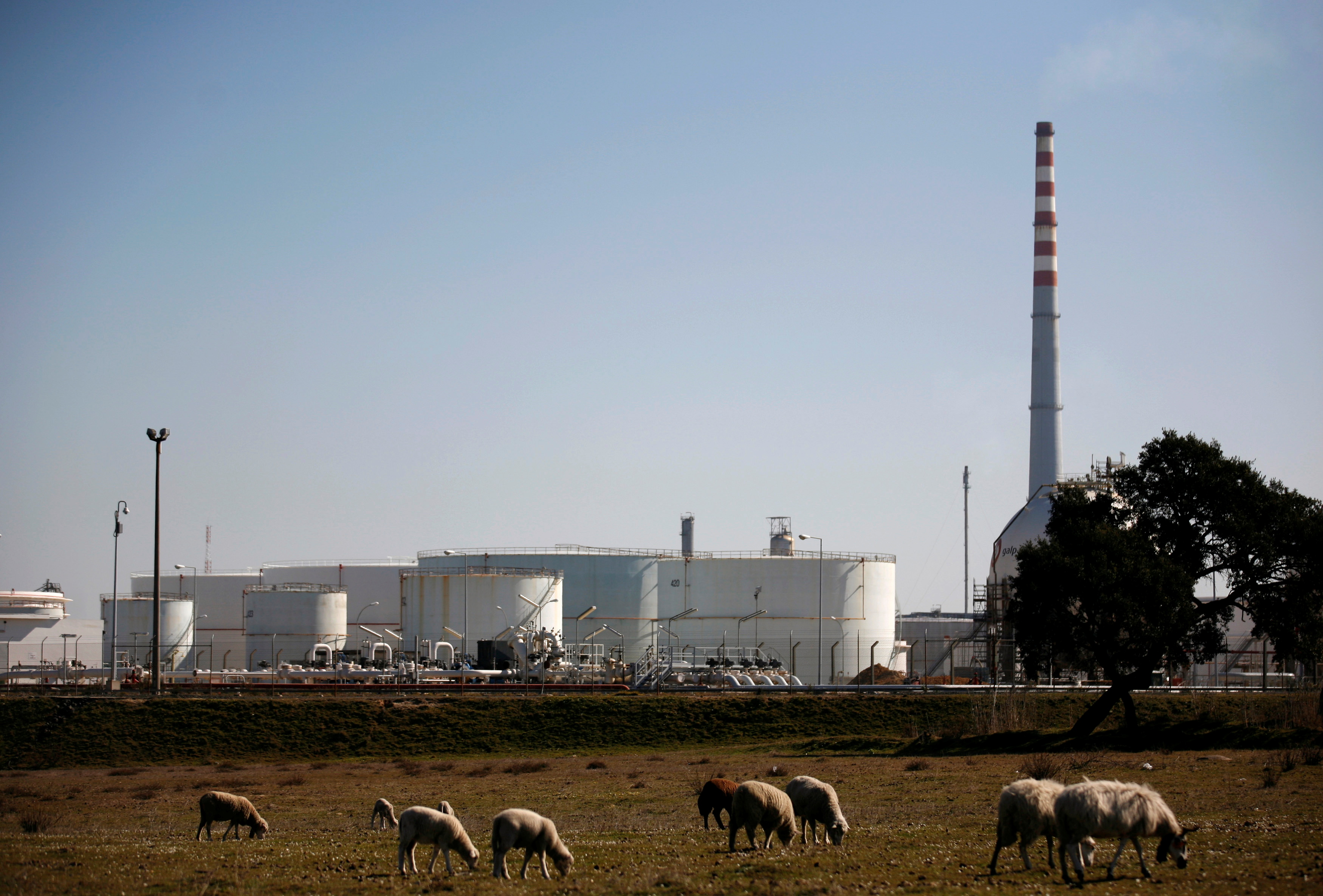 Portugal's Galp Energia gets greener and cuts five-year spending plan ...