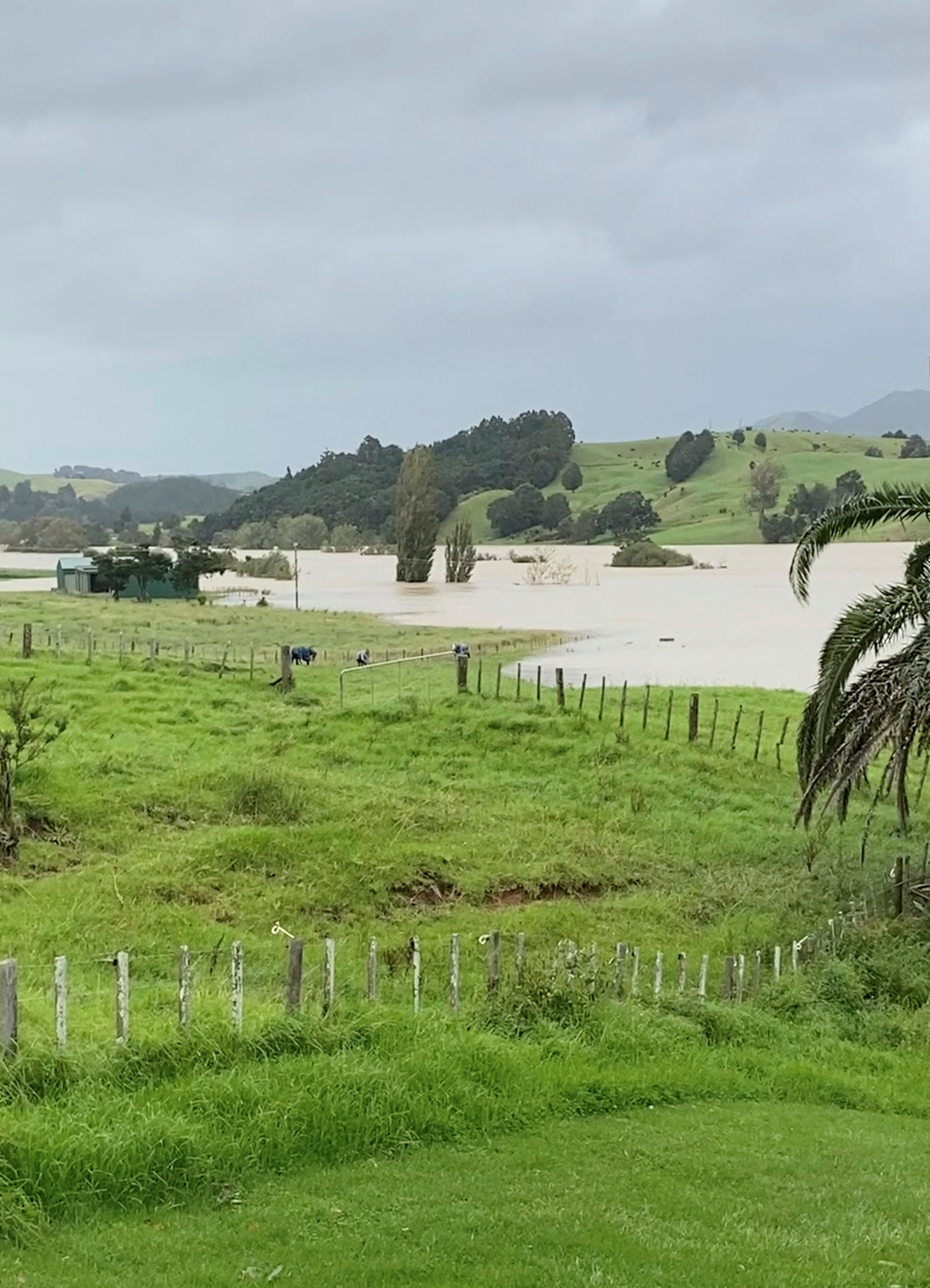 New Zealand declares national emergency as Cyclone Gabrielle wreaks ...