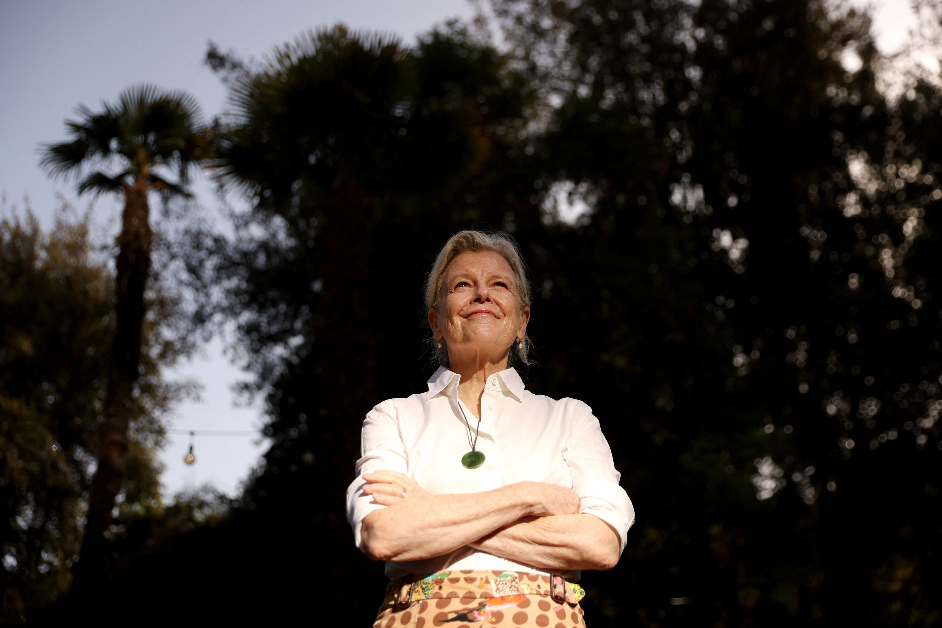 Chile announces biological corridor to protect endangered deer | Reuters