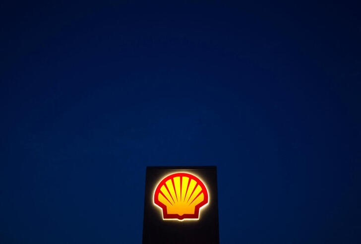 Shell finds hydrocarbons in Namibia exploration well | Reuters