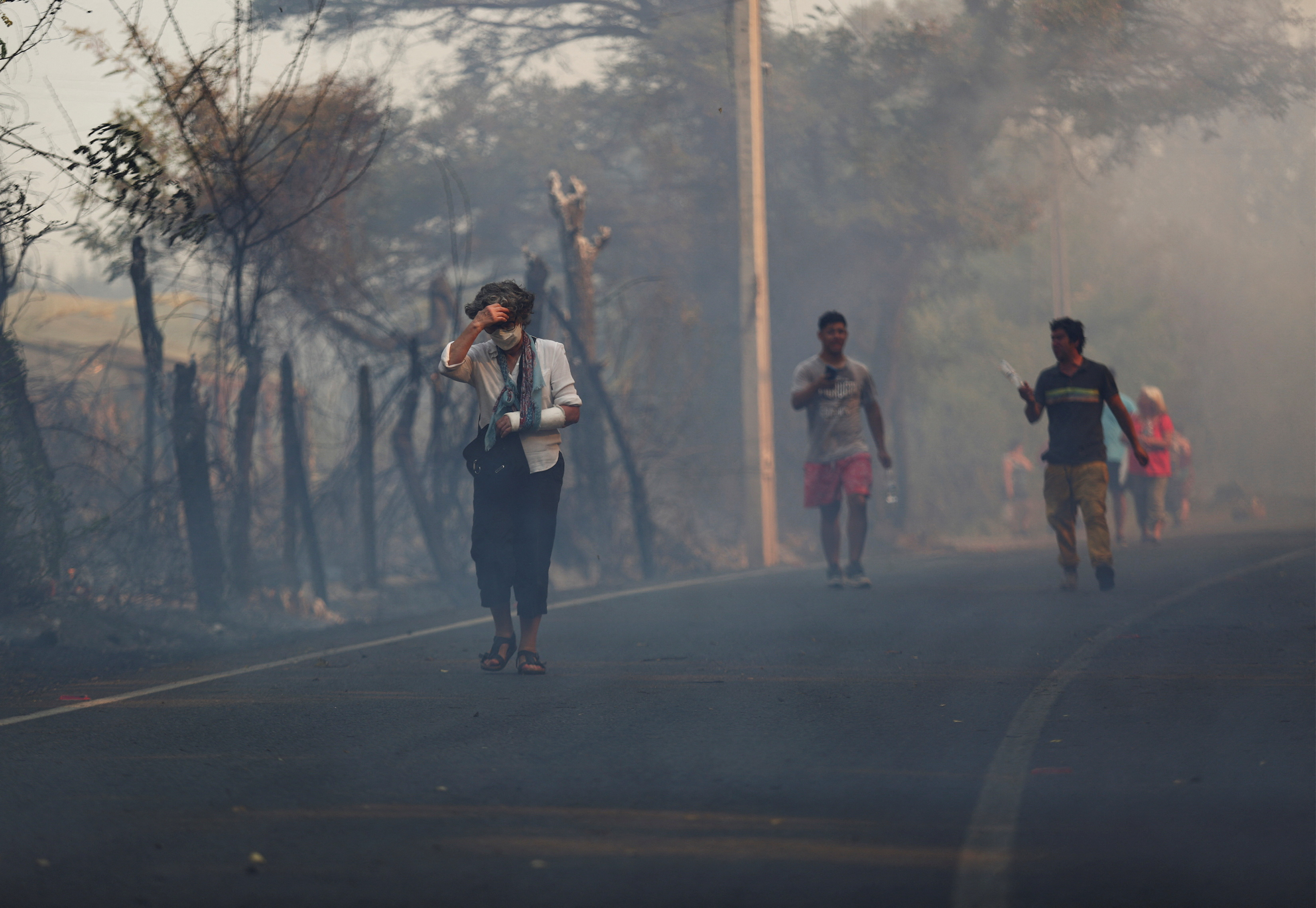 Chile wildfires consume over 750 hectares threatening forests, farmland ...