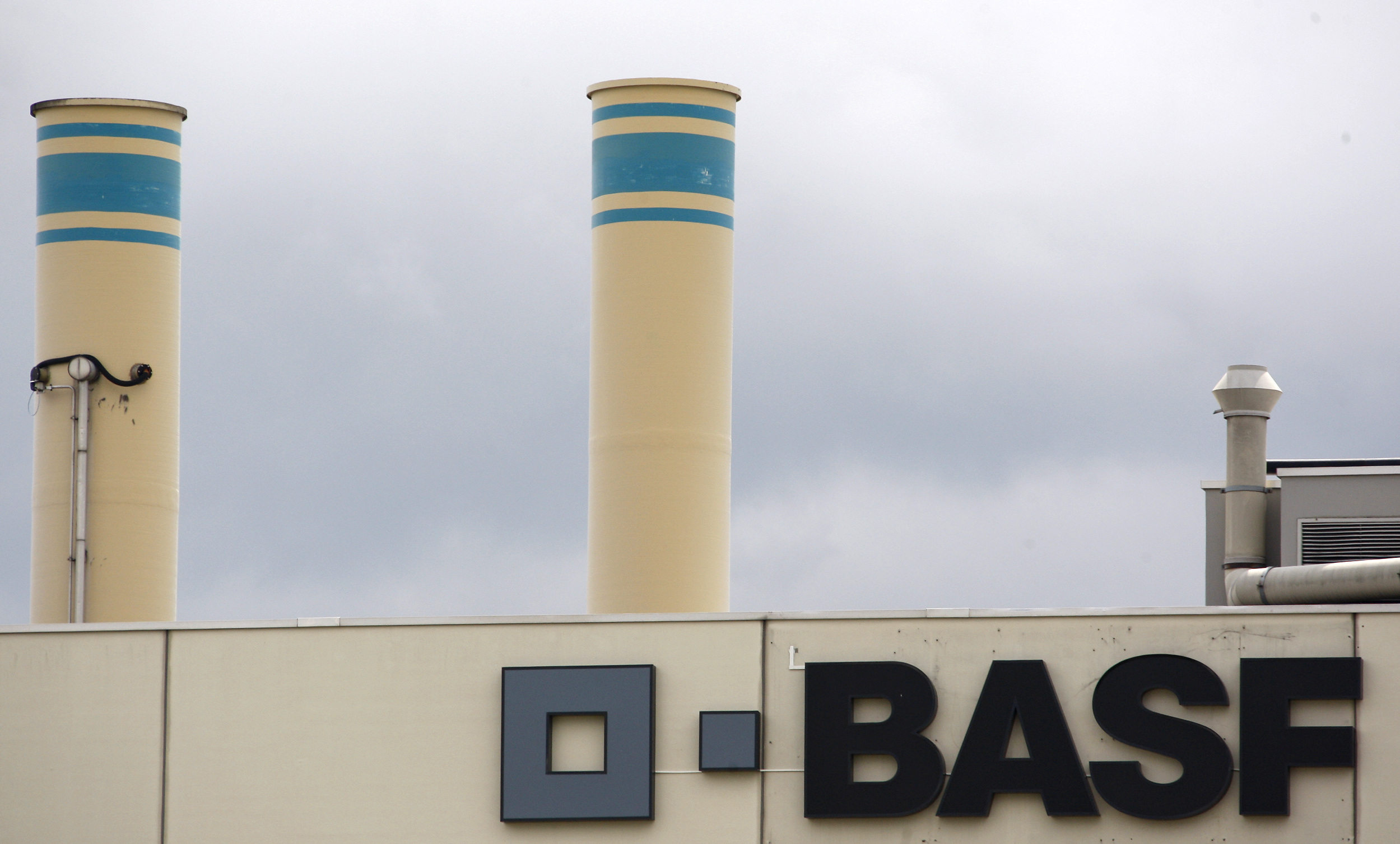 BASF targets partial listing of agriculture division | Reuters