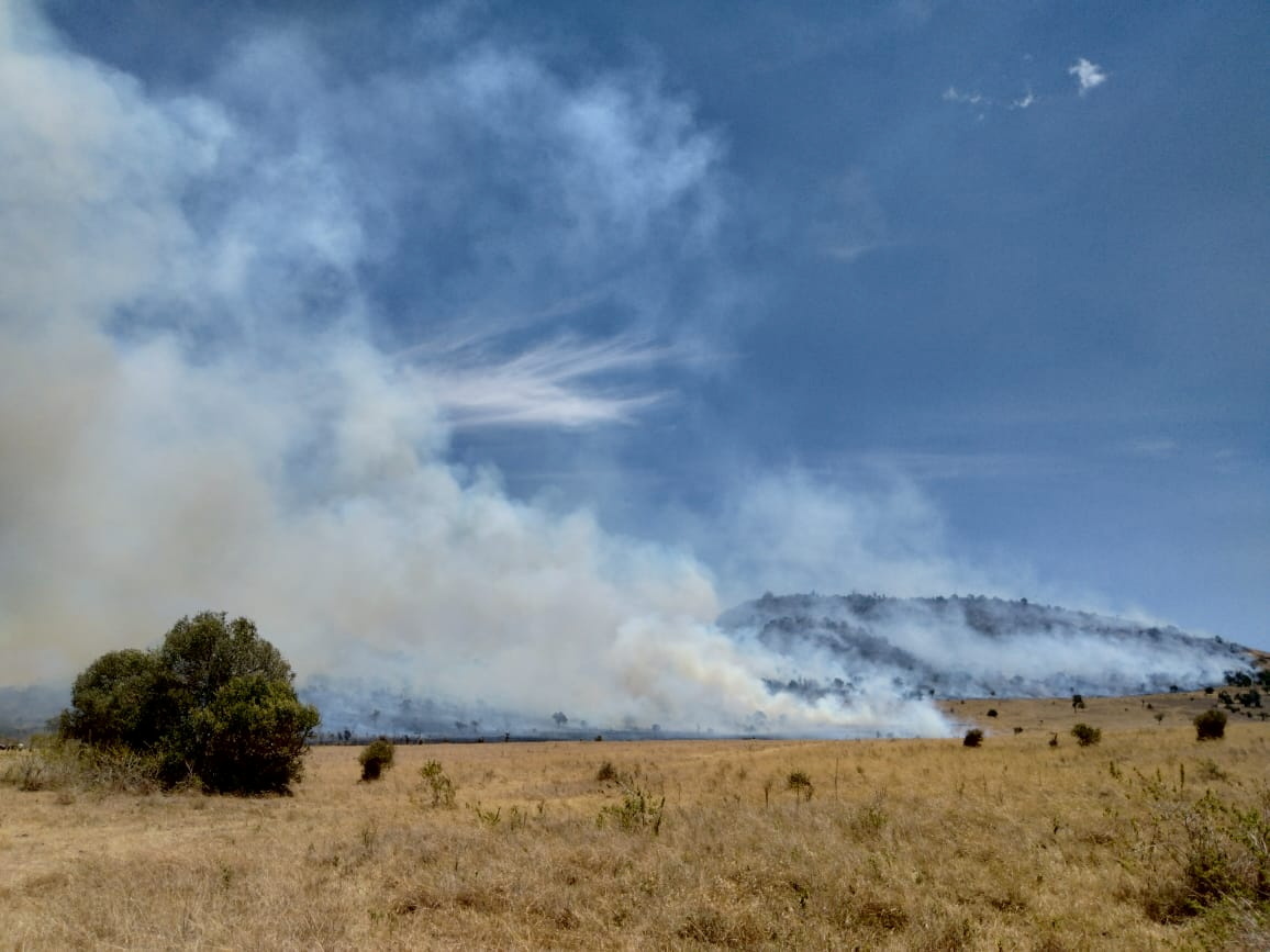 Fire breaks out in Kenya during British military exercise | Reuters