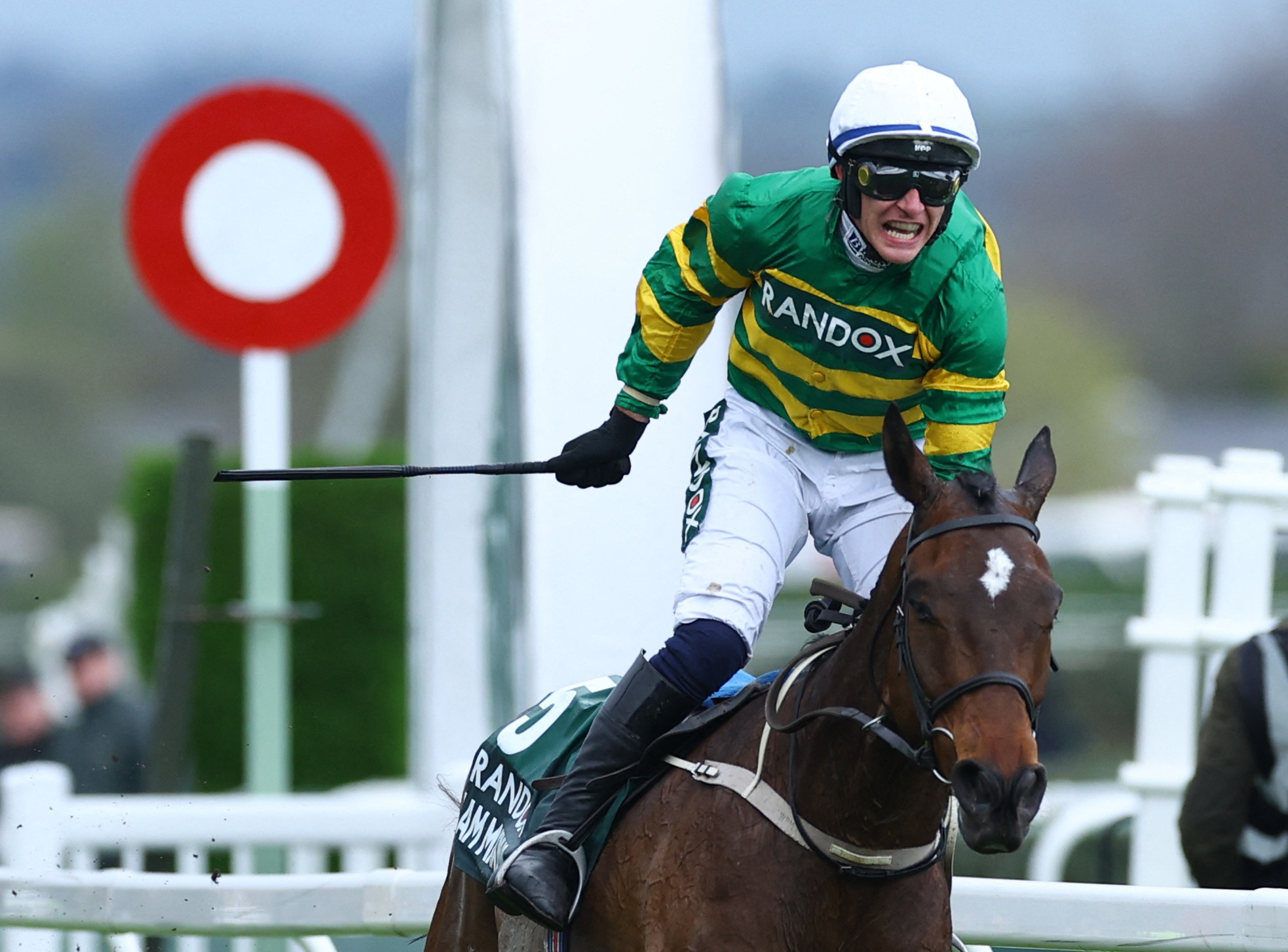 Horse racing-I am Maximus wins Grand National | Reuters