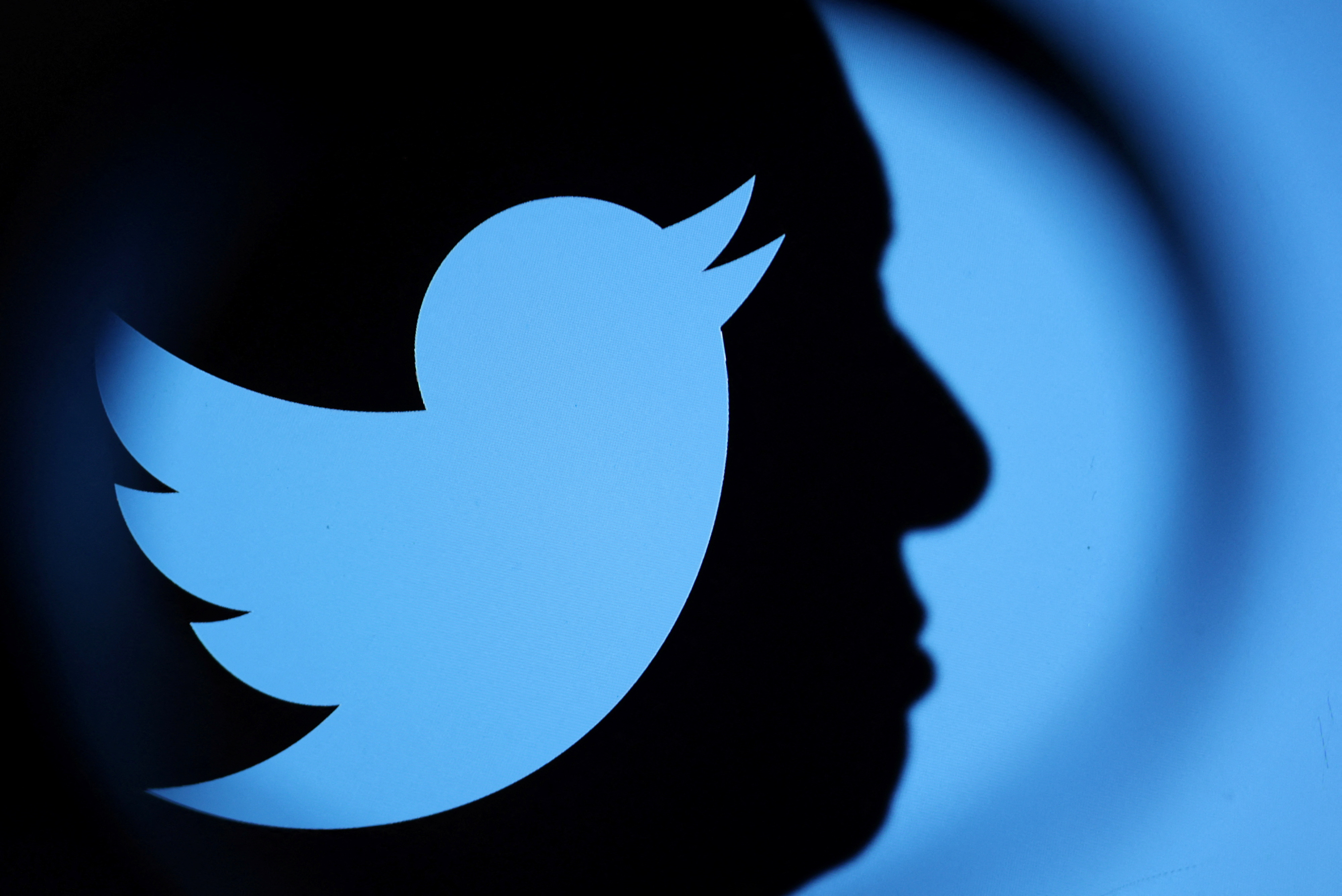 Twitter 2.0: Musk warns of bankruptcy, flip-flops on blue check mark in ...