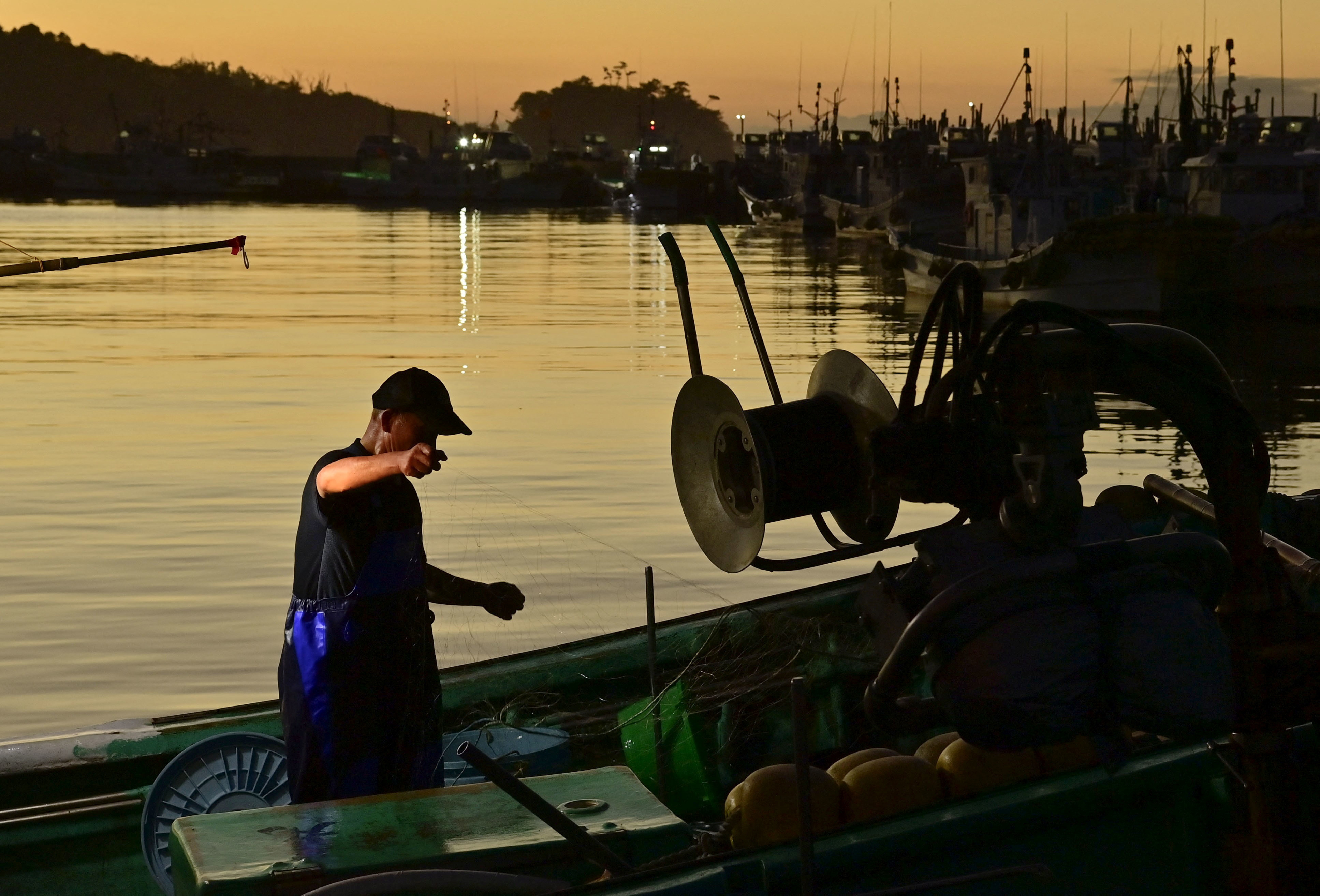 Japan says no radioactivity found in Fukushima fish, Kyodo reports ...