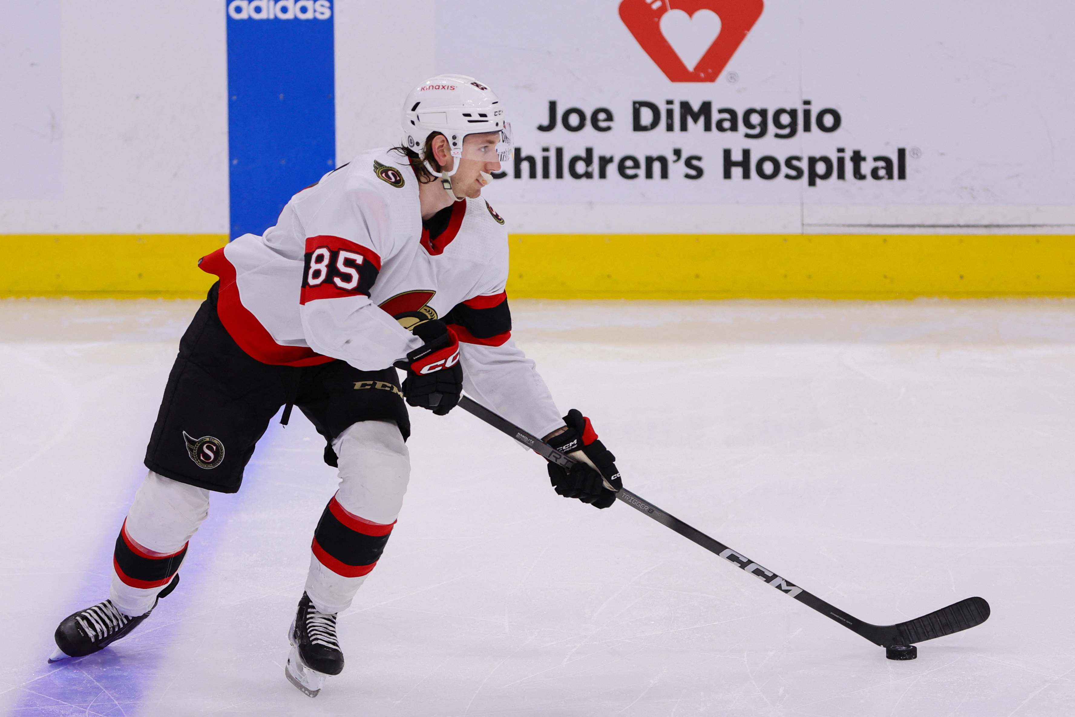 Panthers' Anthony Stolarz picks up assist, shuts out Sens | Reuters