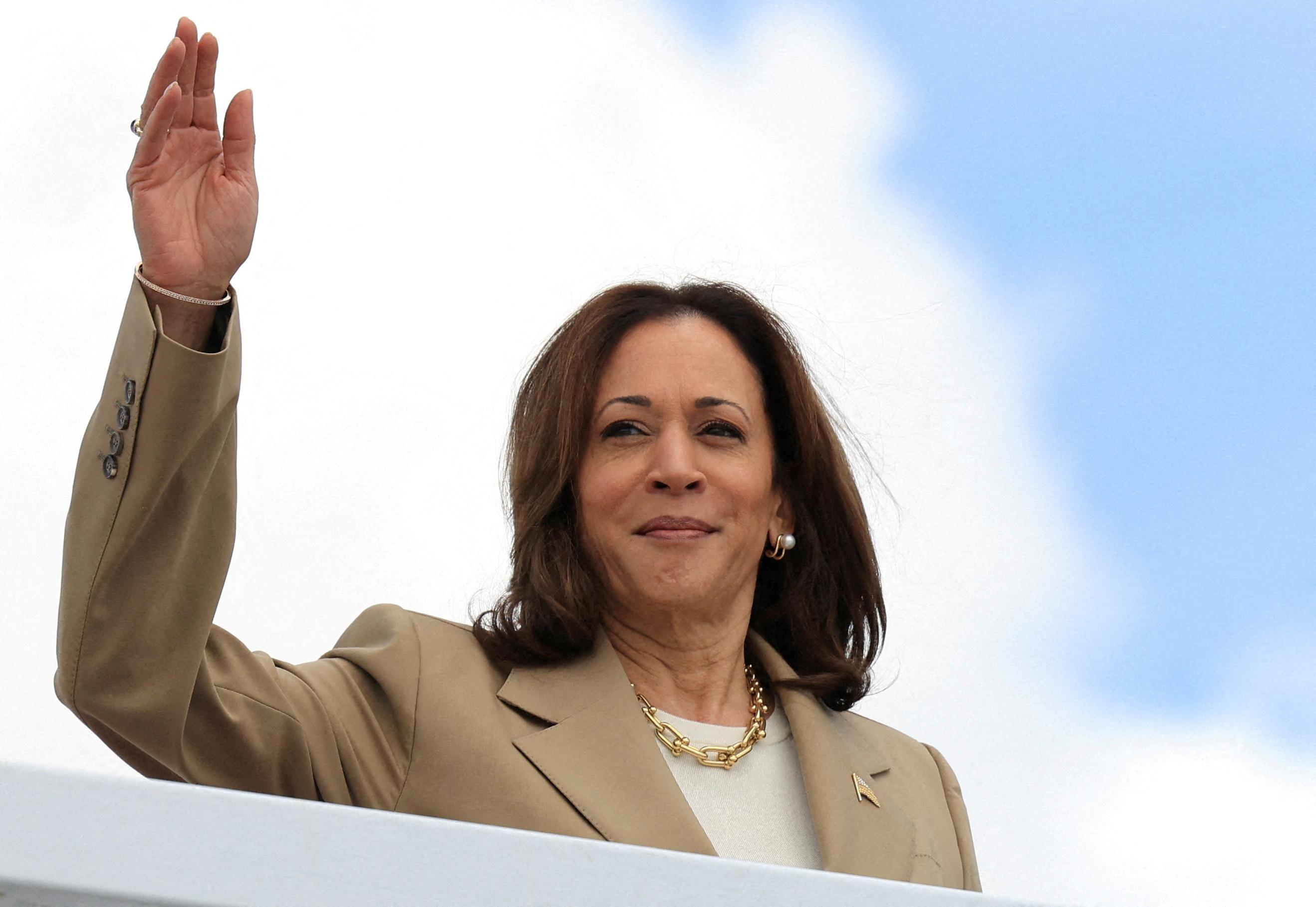 All state Democratic party chairs endorse Harris | Reuters