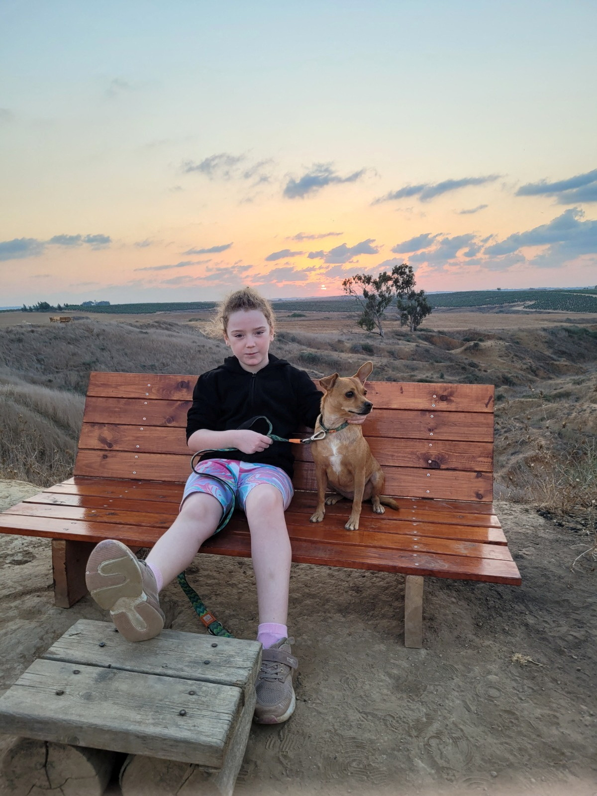 'Can't find words', Israeli families welcome second group of hostages ...