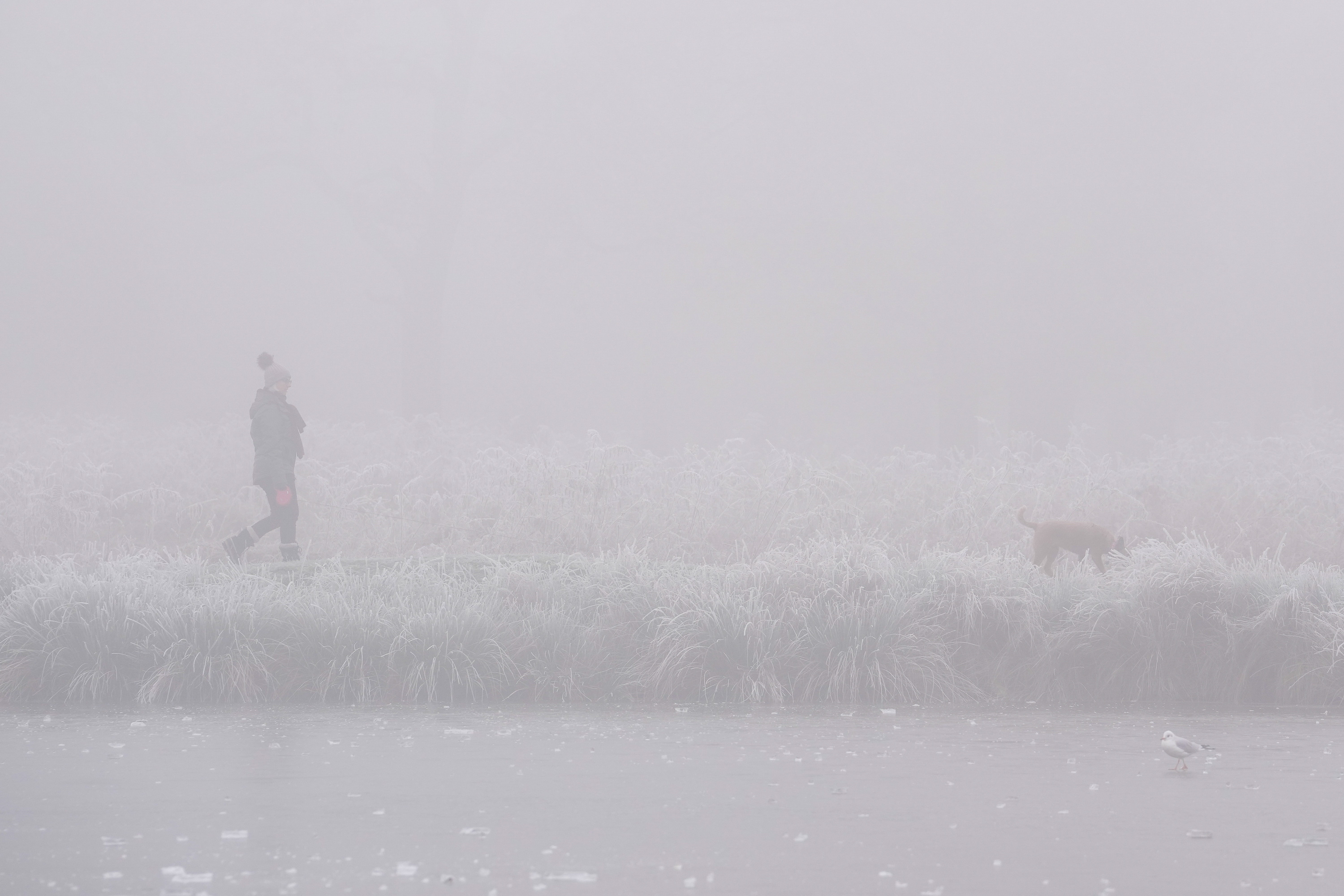 Fourth British boy dies after falling into ice-covered lake in Britain ...