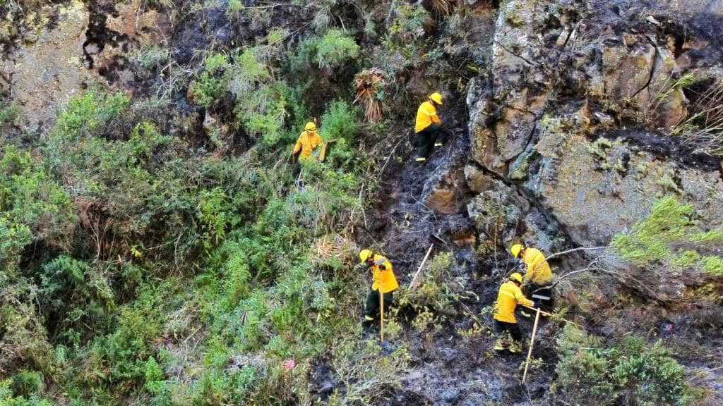 Peru firefighters control blaze near Machu Picchu, remain on alert ...
