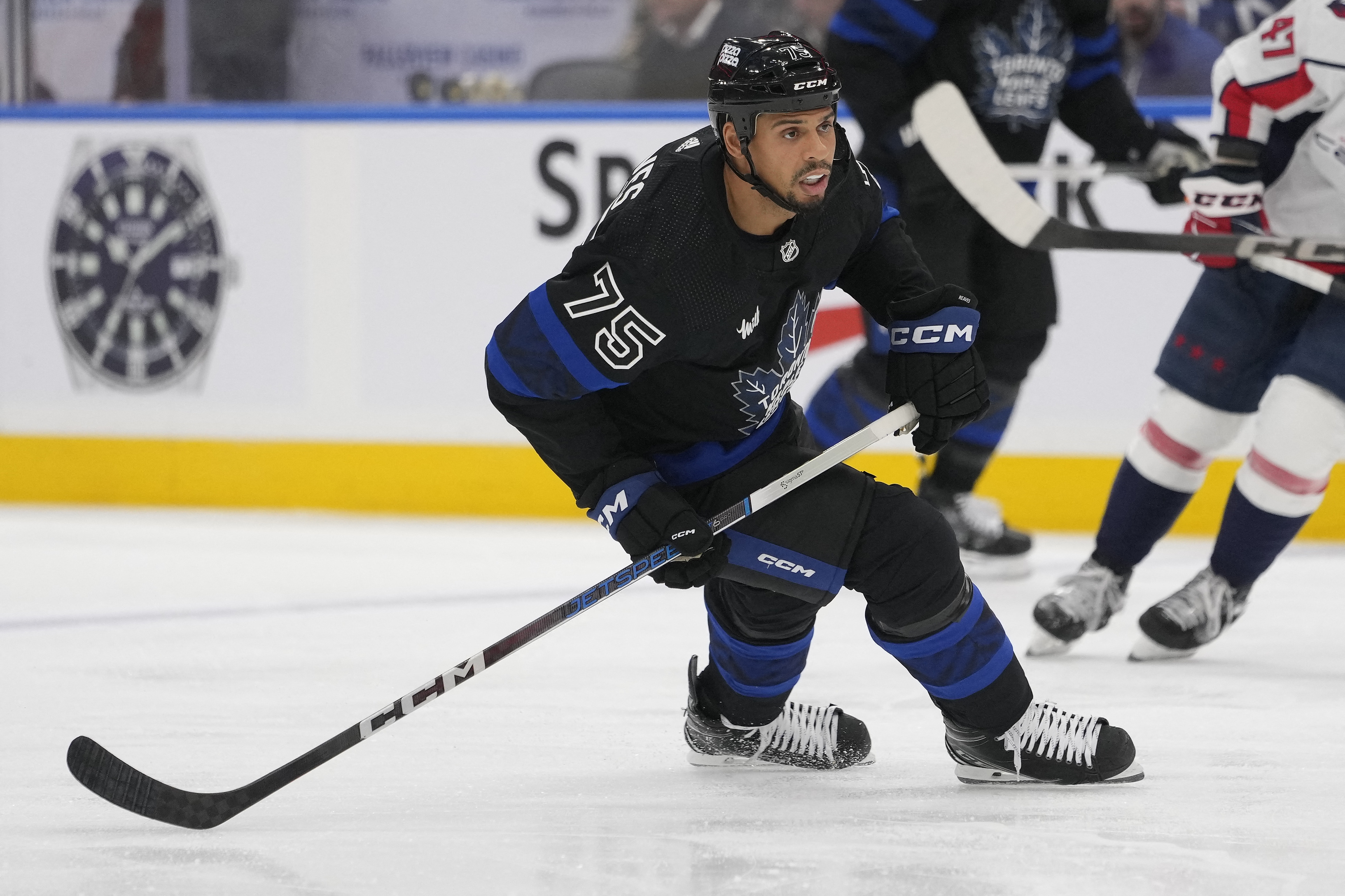 Tyler Bertuzzi, Leafs too much for Caps to handle | Reuters