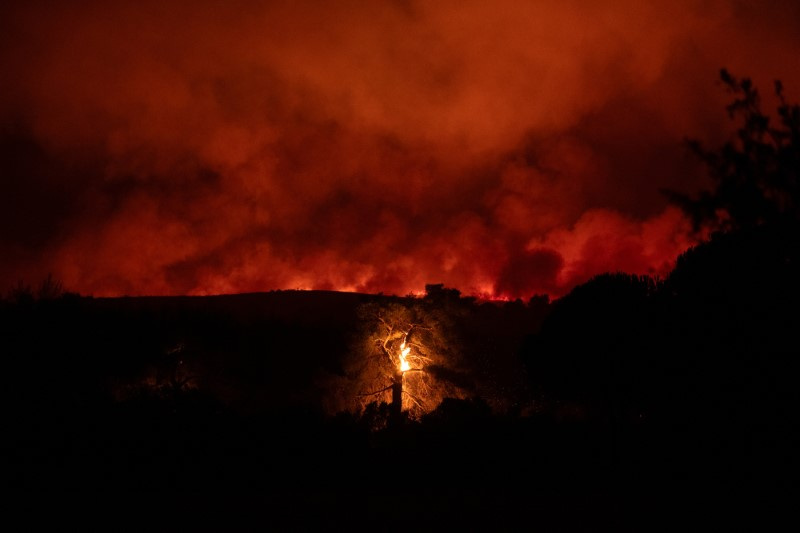 People flee wildfire near Athens as it spreads 'like lightning' | Reuters