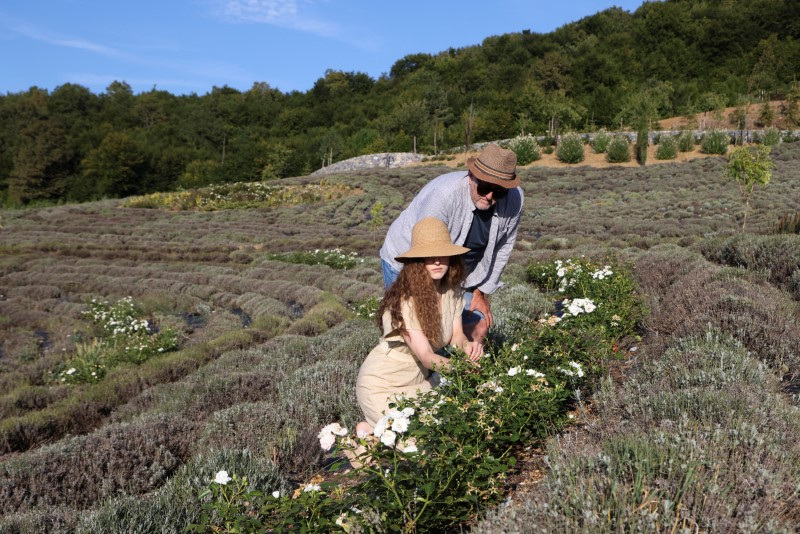 Van Gogh's Starry Night recreated as park in Bosnian hills | Reuters