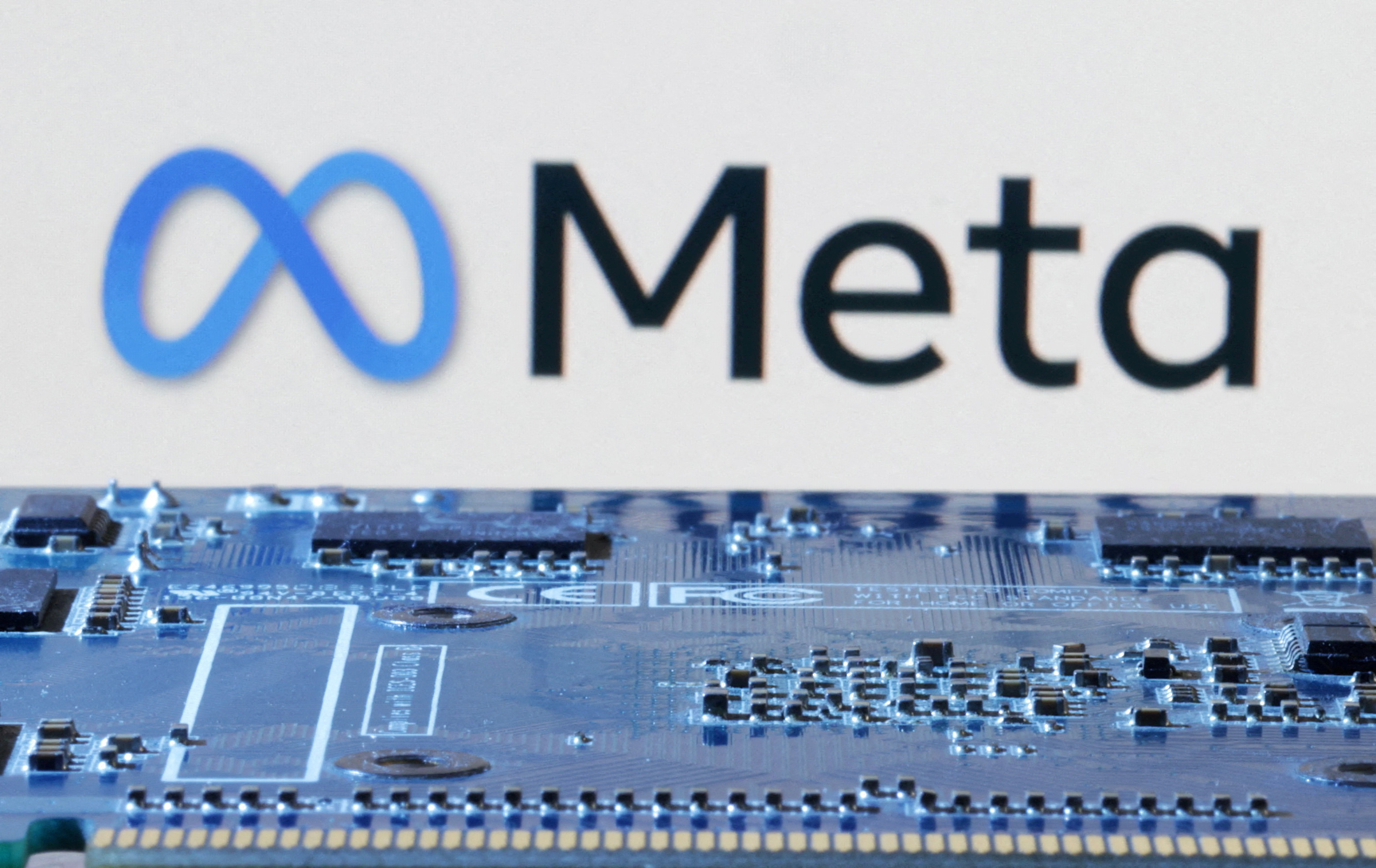 EU court adviser backs data privacy activist Schrems in Meta fight ...