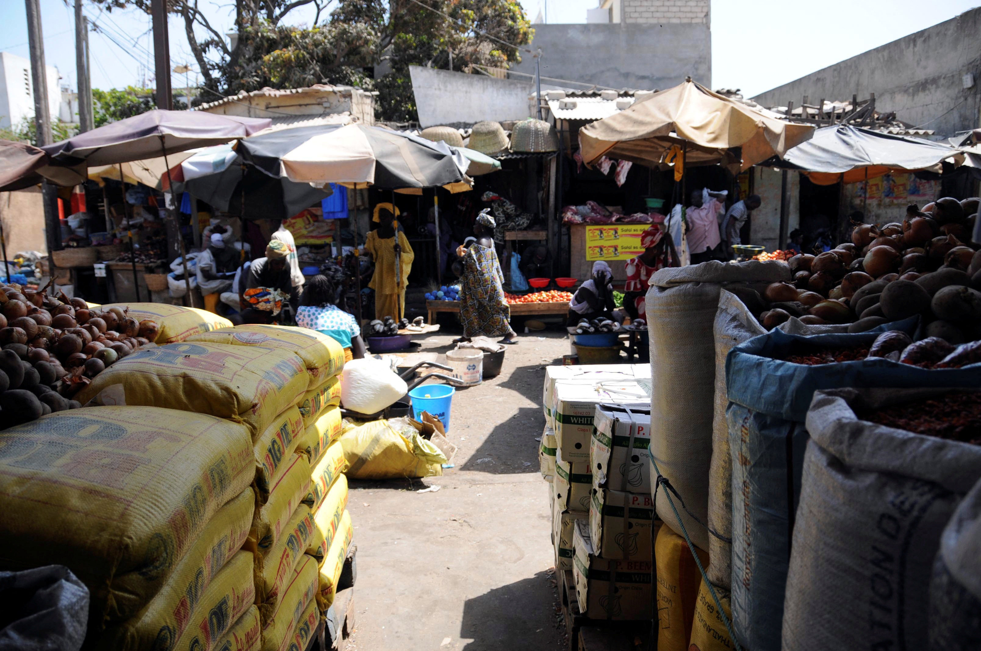 Senegal to receive aid payouts from drought insurance - spokesperson ...