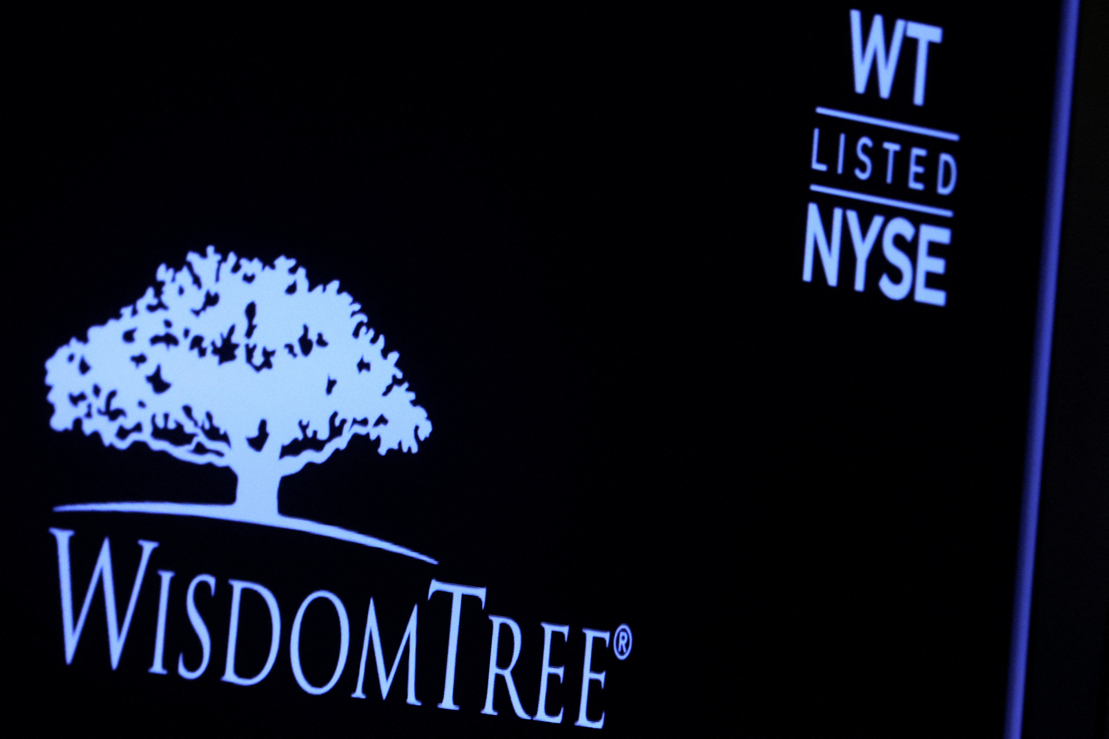 ETFS Capital criticizes WisdomTree strategy, launches 'withhold ...