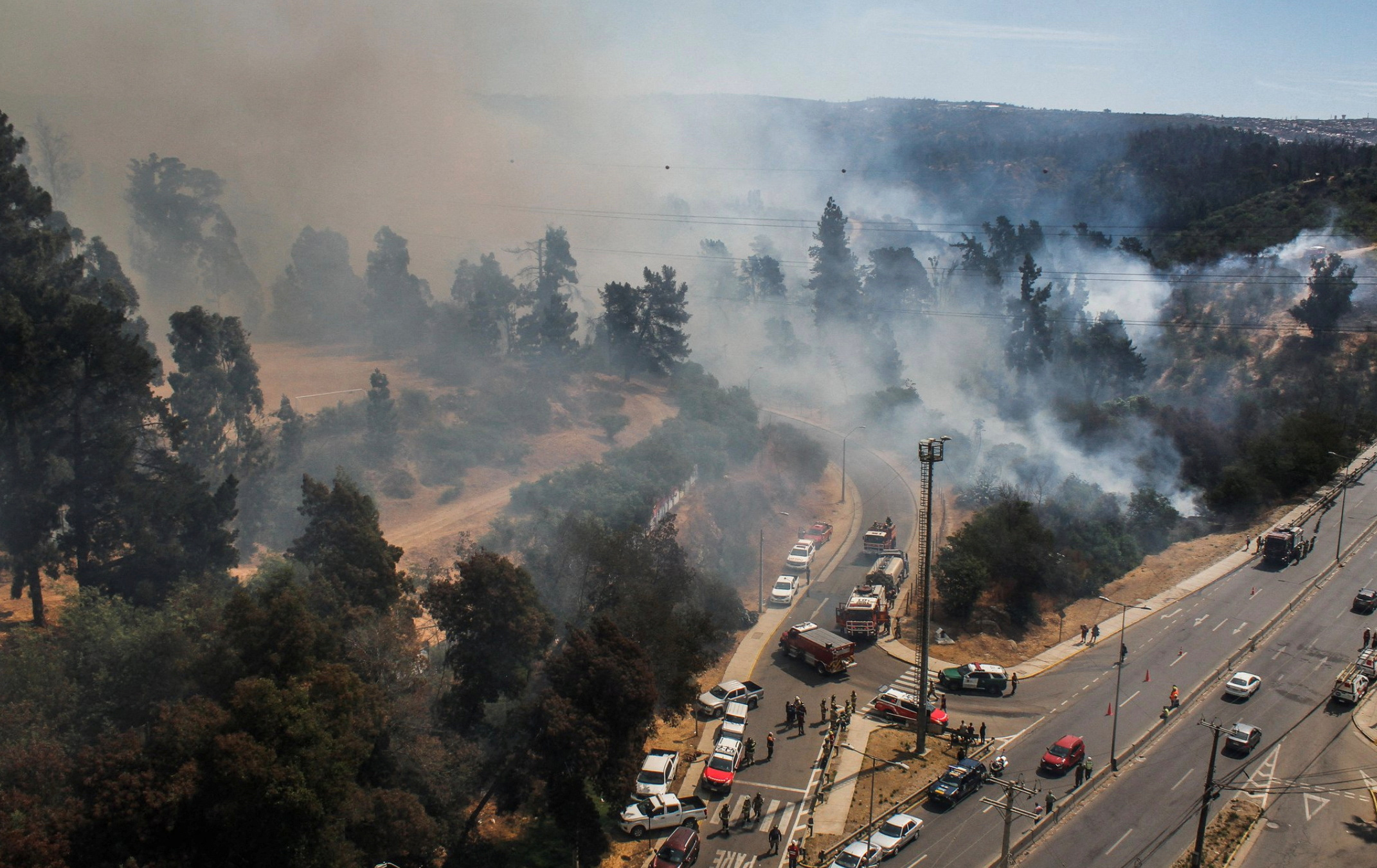 Chile battles to combat forest fires amid threat to residents | Reuters