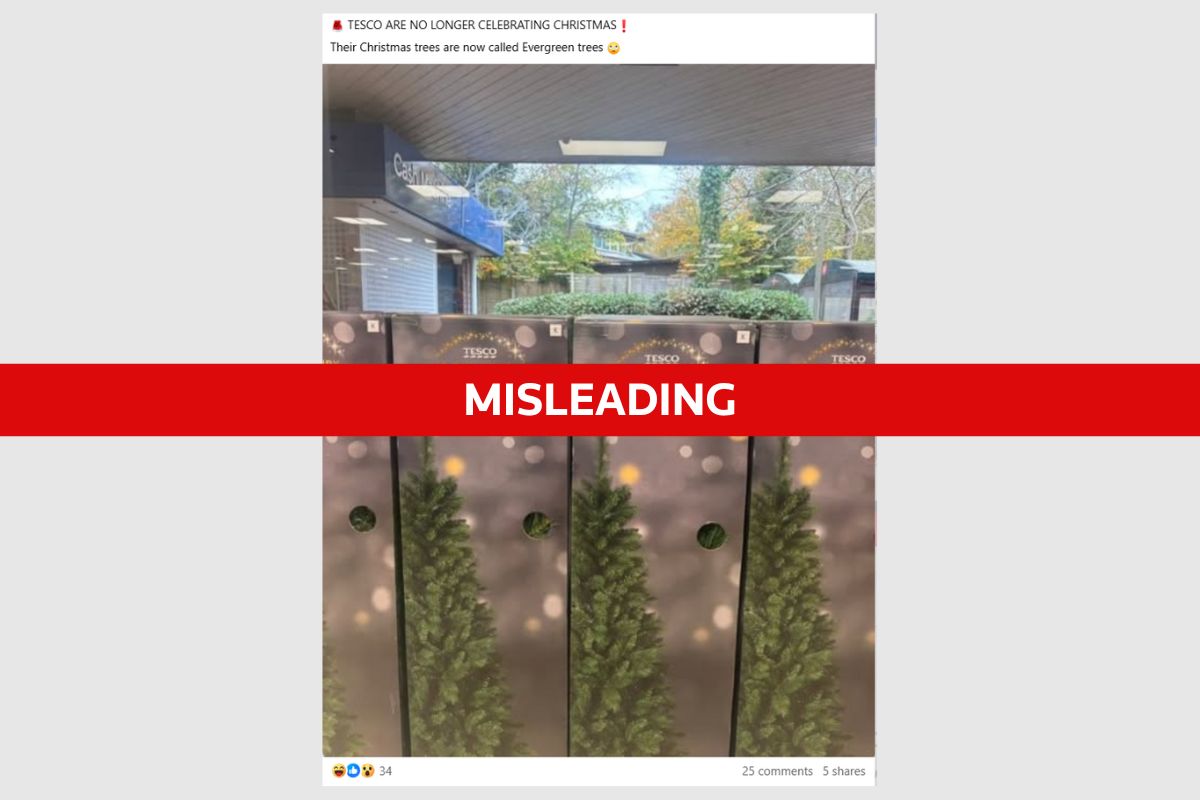 No Christmas Trees