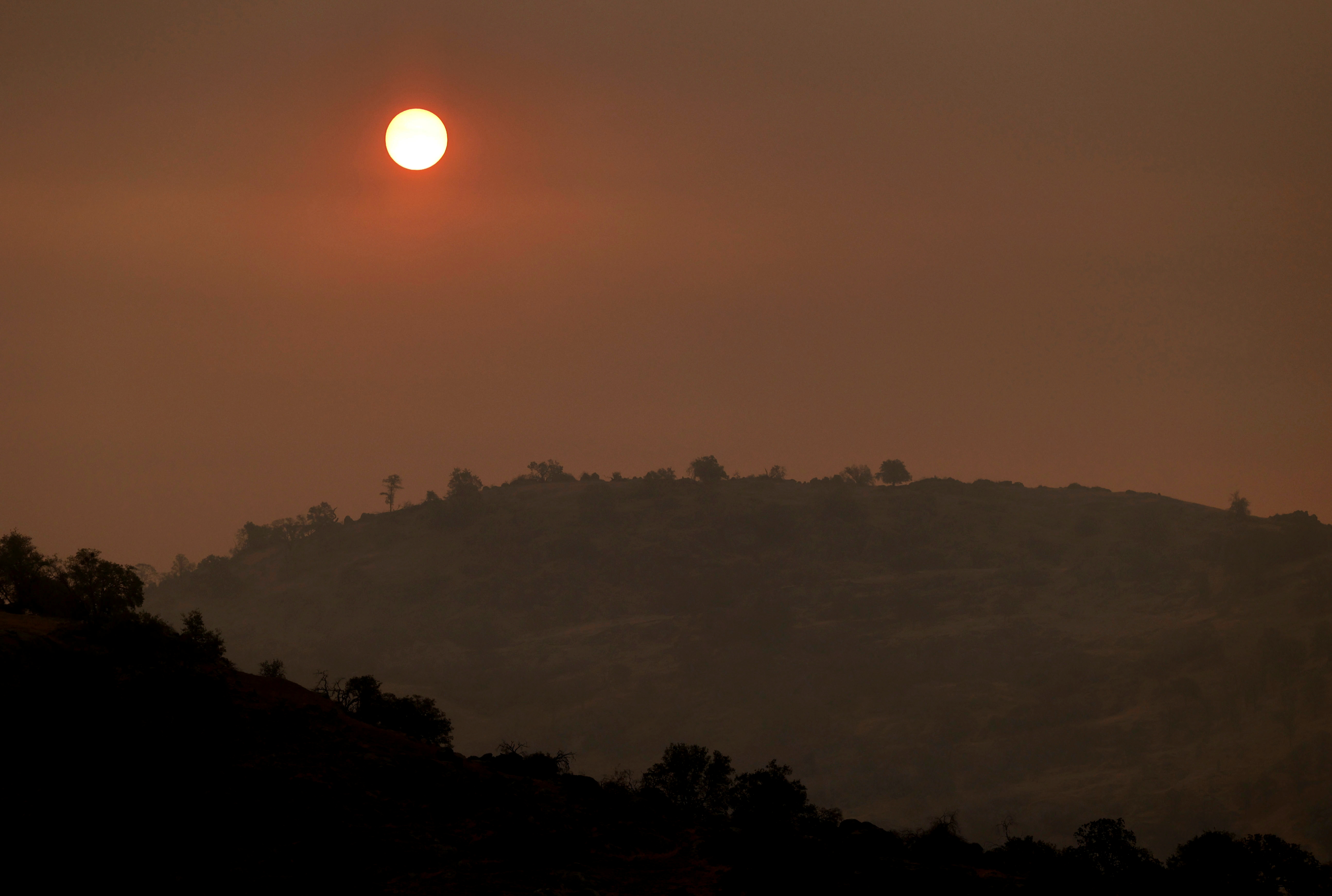 As California fire nears, crews protect world's largest tree in special ...