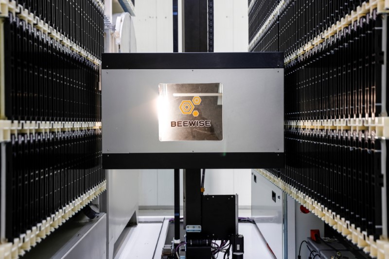 Bees find refuge from perilous world in robotic hive | Reuters