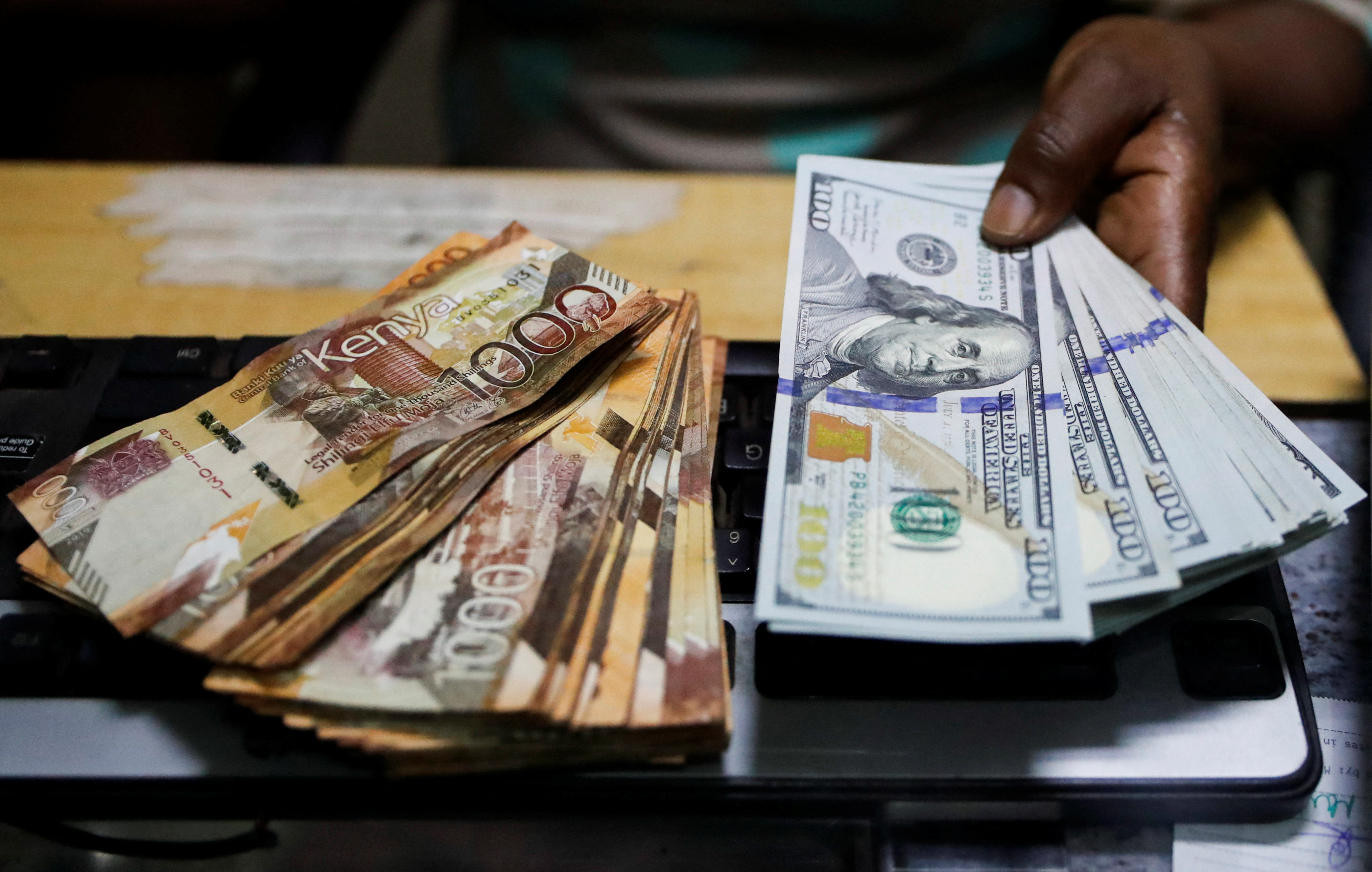 AFRICA-FX-Kenya currency to hold steady, Ghana's to weaken | Reuters