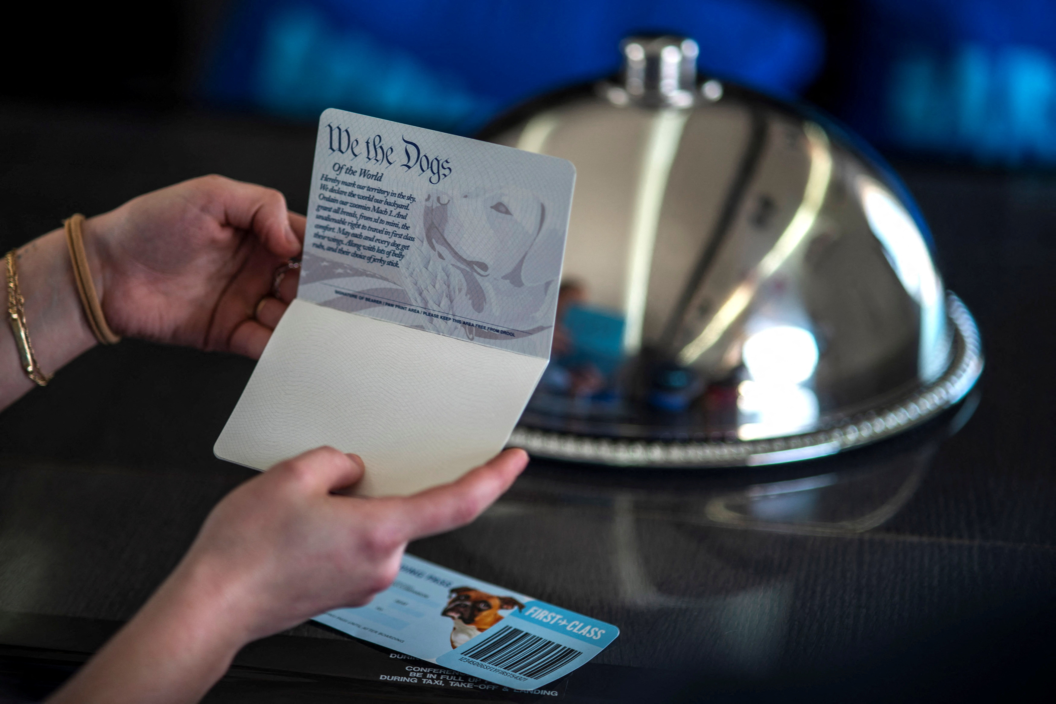 This airline wants all dogs to fly first class | Reuters