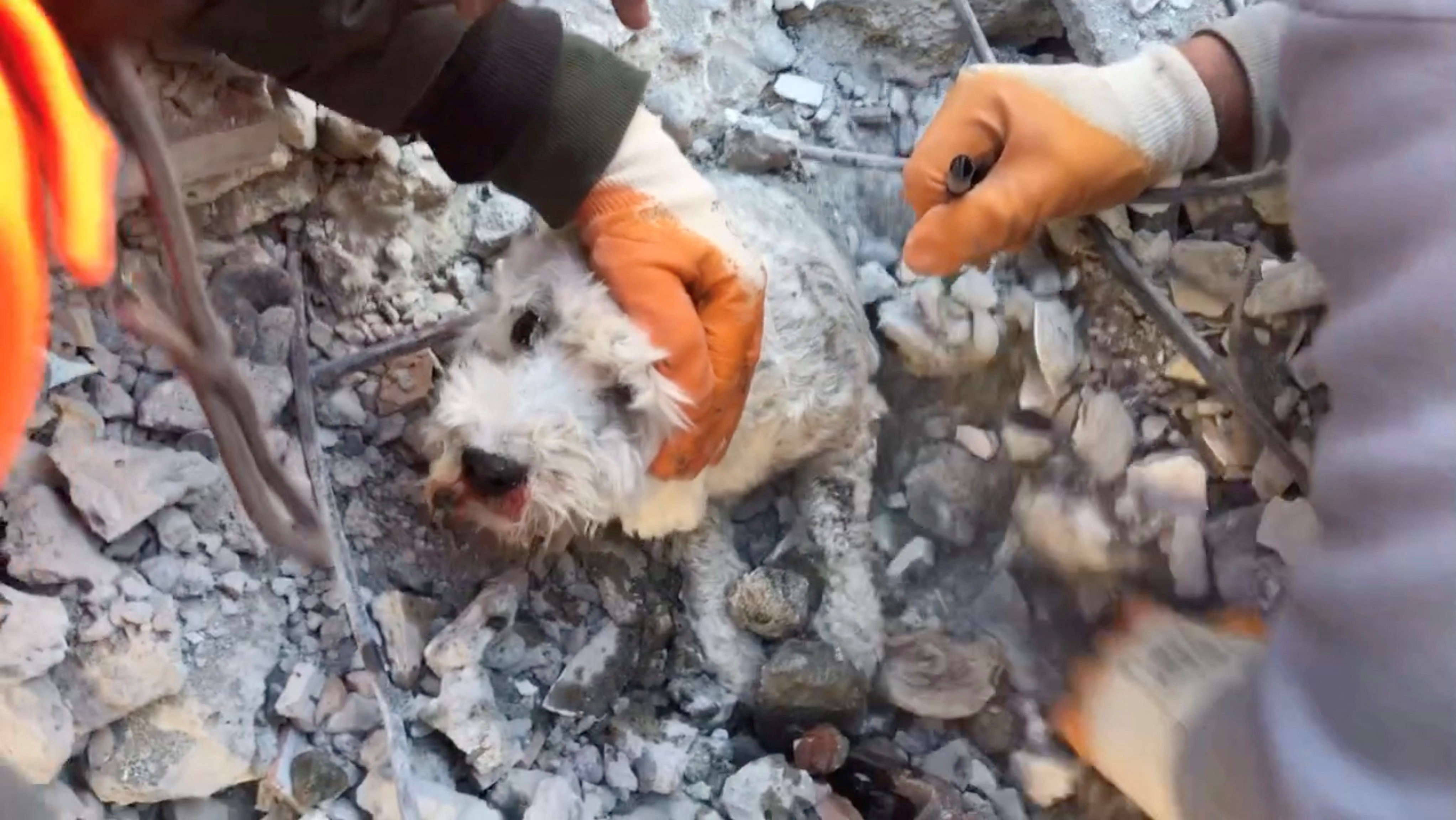 Anger over Turkey's temporary Twitter block during quake rescue | Reuters