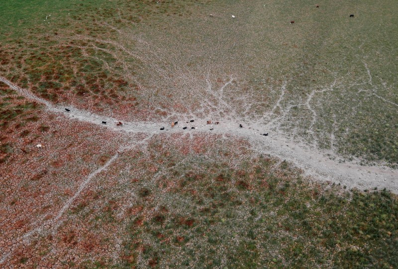 Chile's record-breaking drought makes climate change 'very easy' to see ...