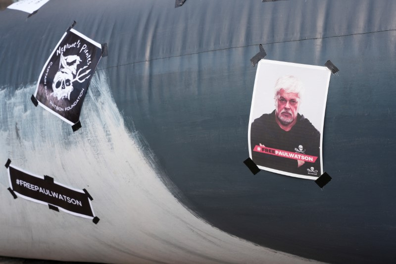 Anti-whaling activist Paul Watson to remain detained in Greenland | Reuters