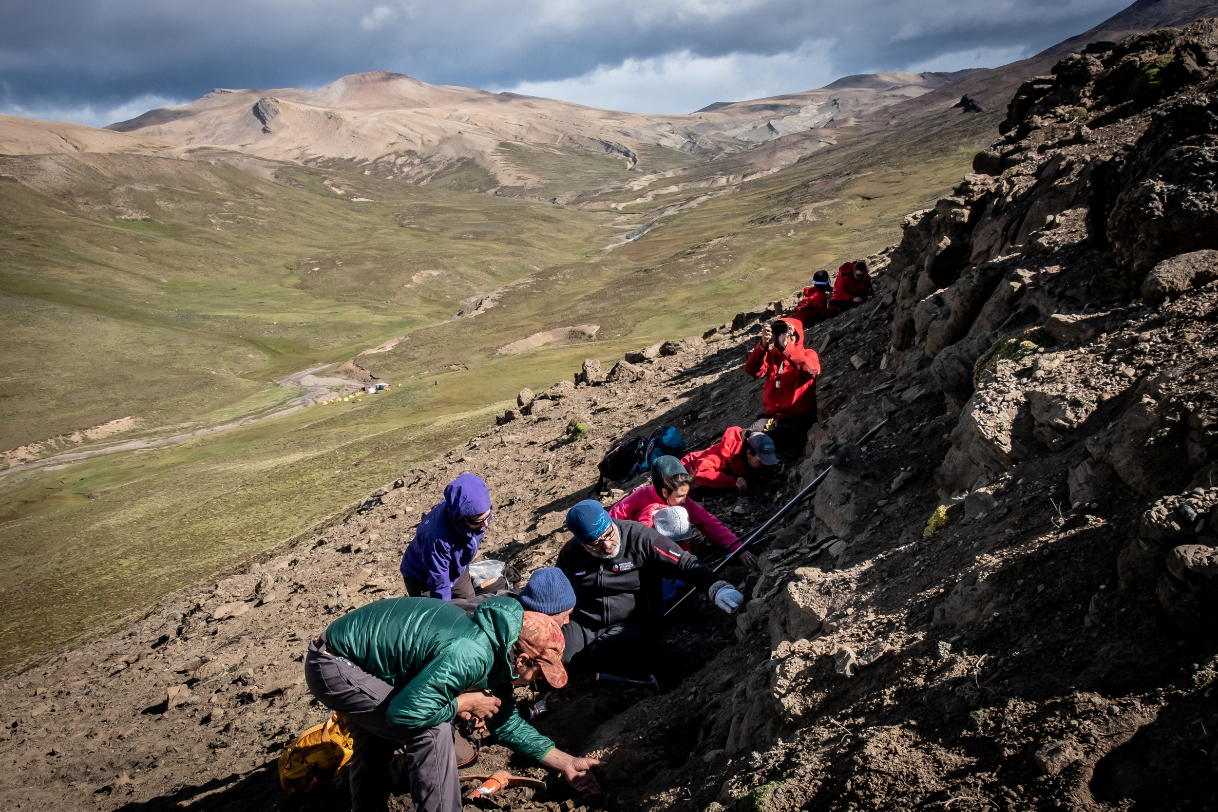 Scientists unearth megaraptors, feathered dinosaur fossils in Chile's ...