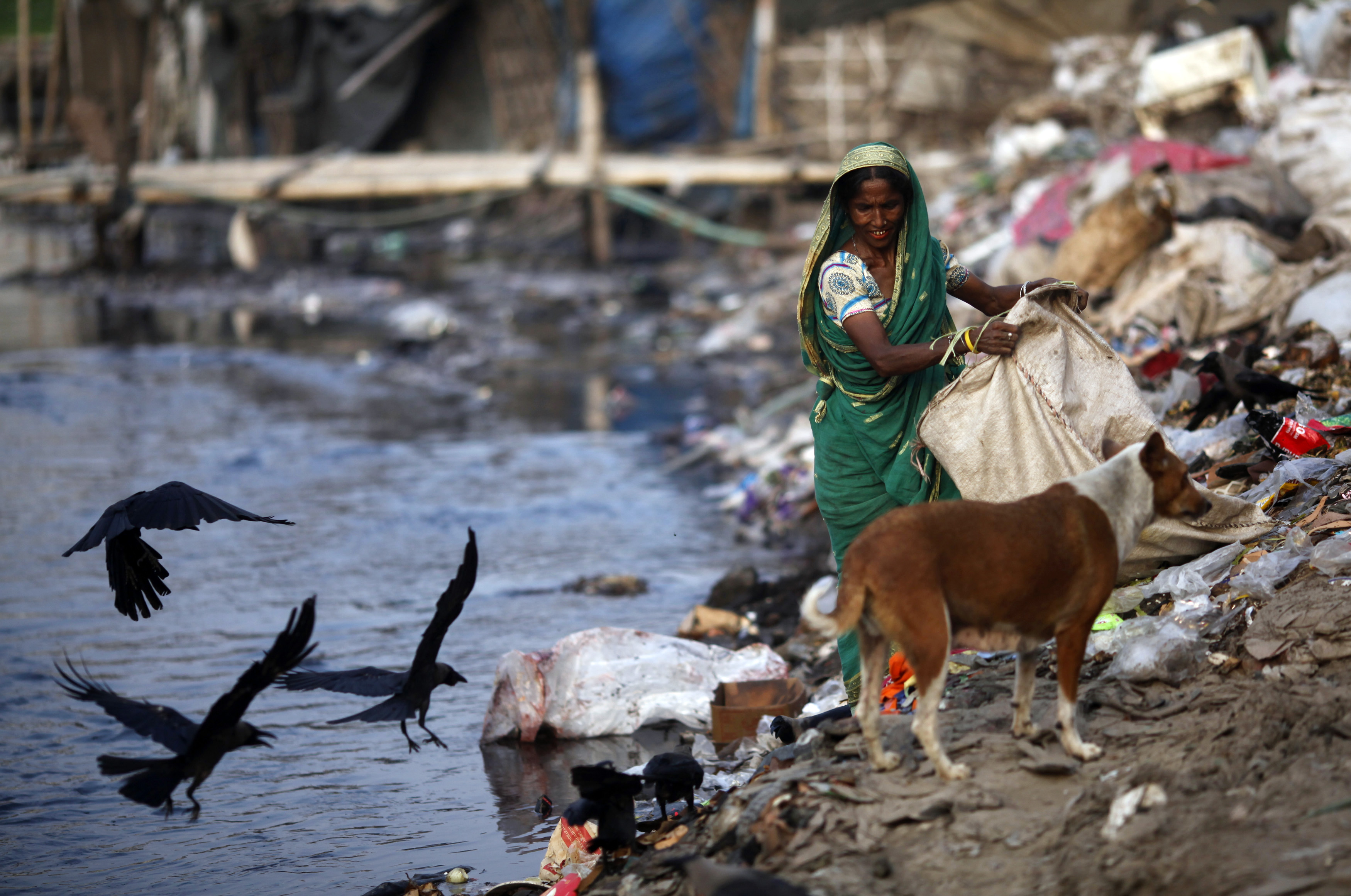 G7 countries to take ambitious action against plastic pollution | Reuters