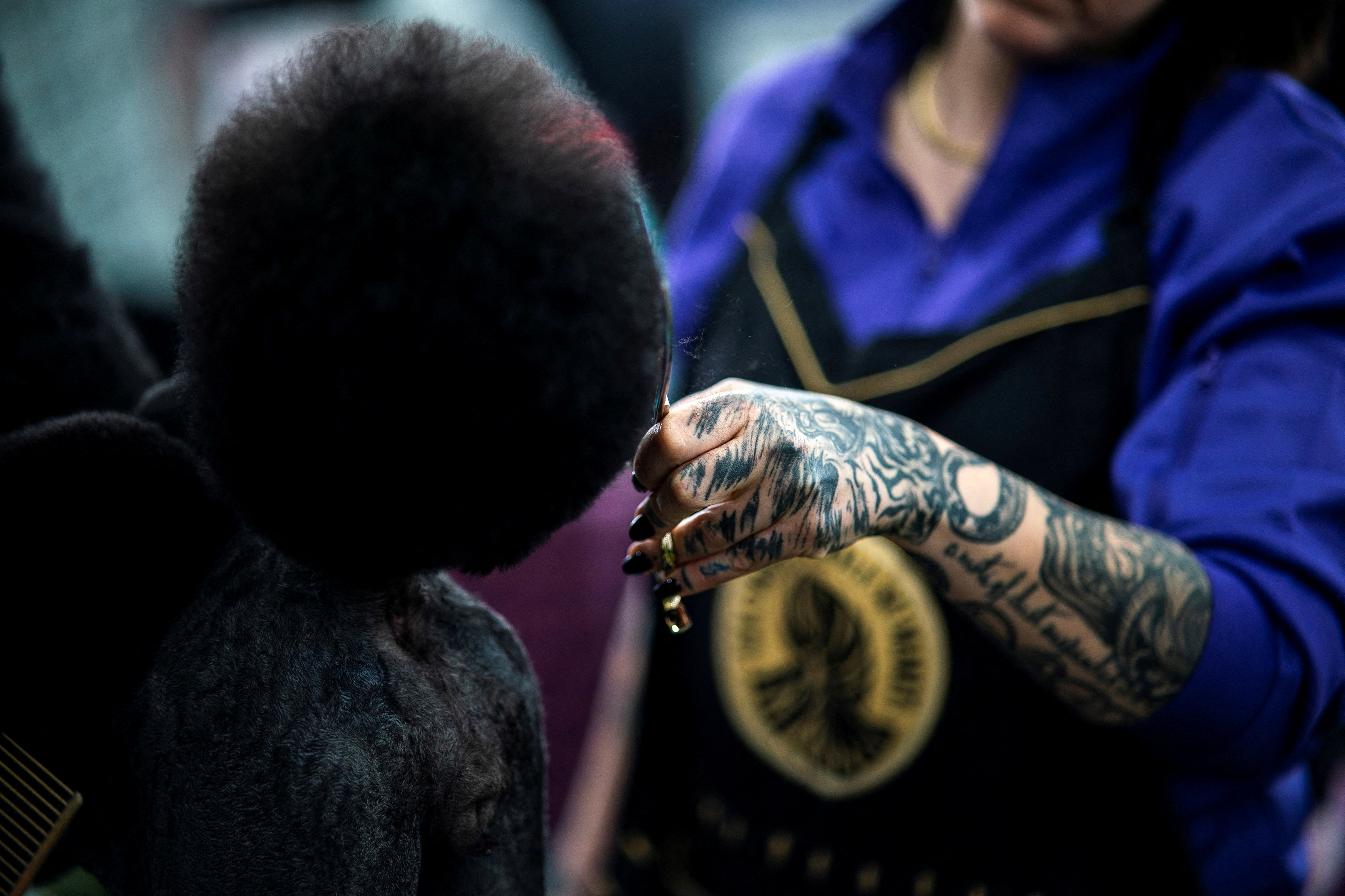 Scenes from the Westminster Dog Show - May 15, 2024 | Reuters