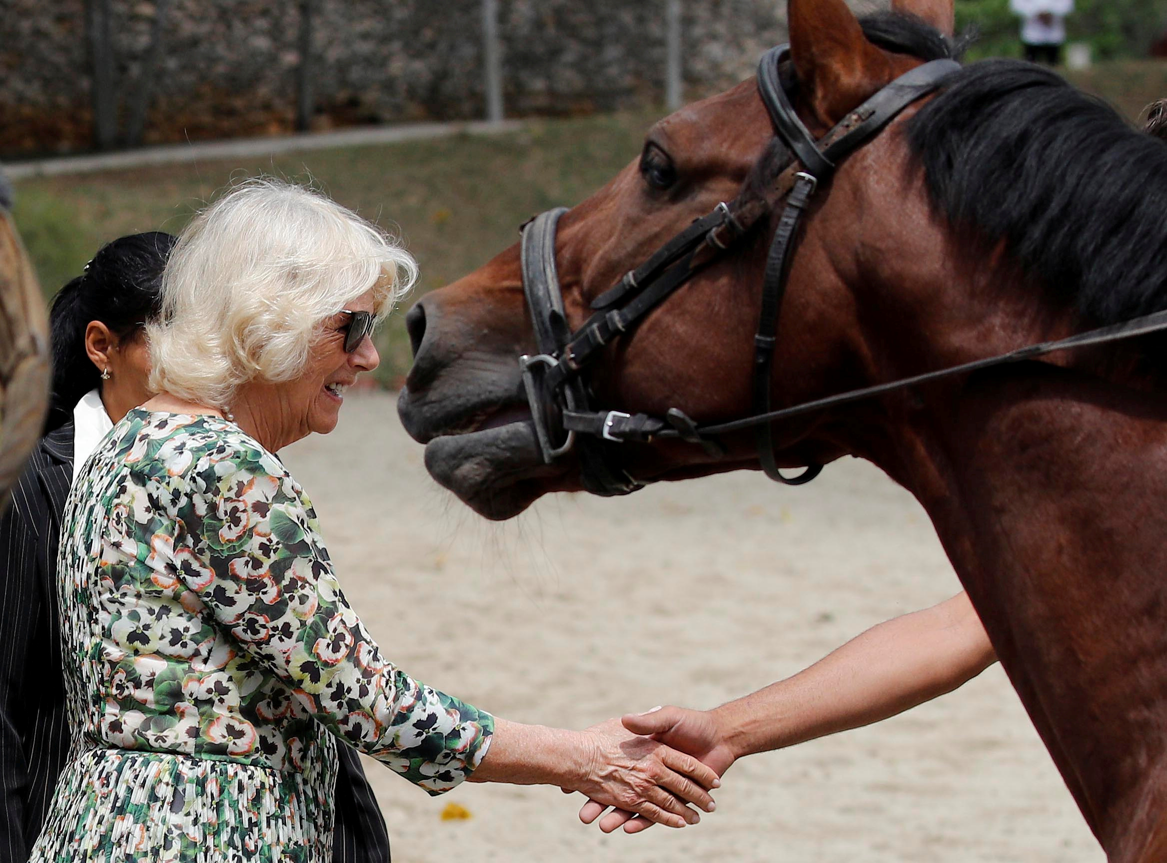 From consort to queen: Camilla's life in photos - May 4, 2023 | Reuters