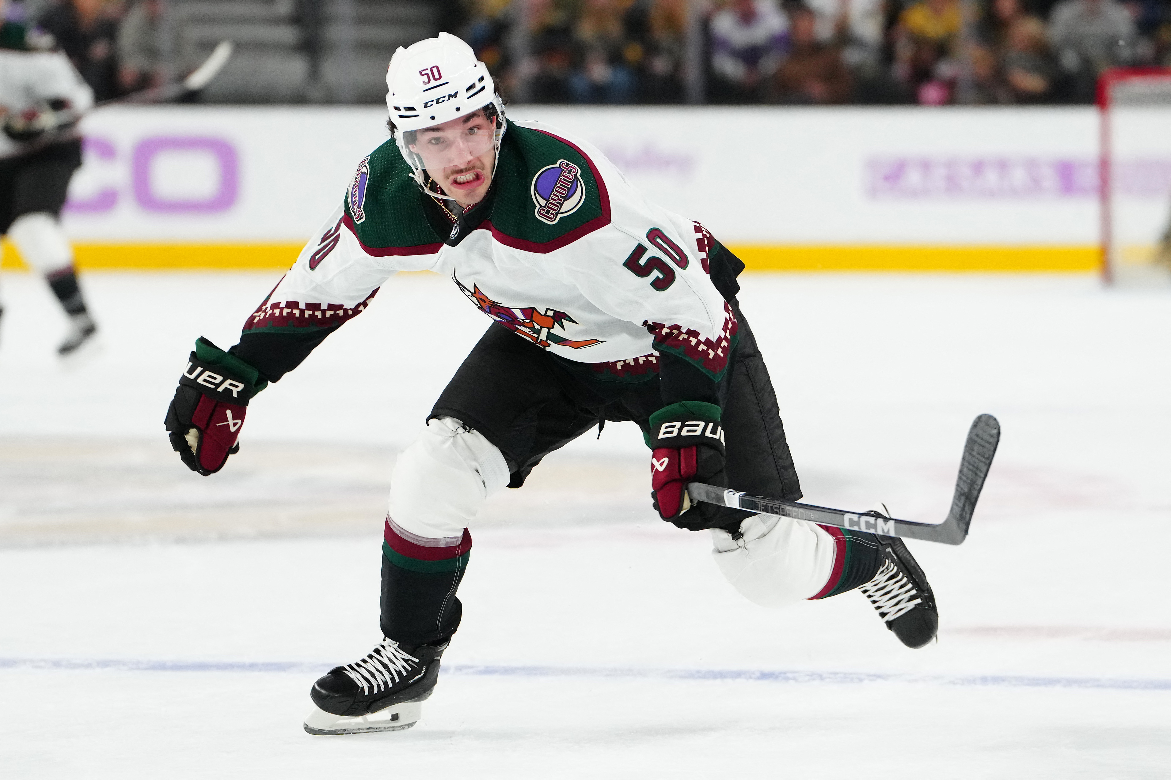 Connor Ingram, Coyotes silence Golden Knights | Reuters