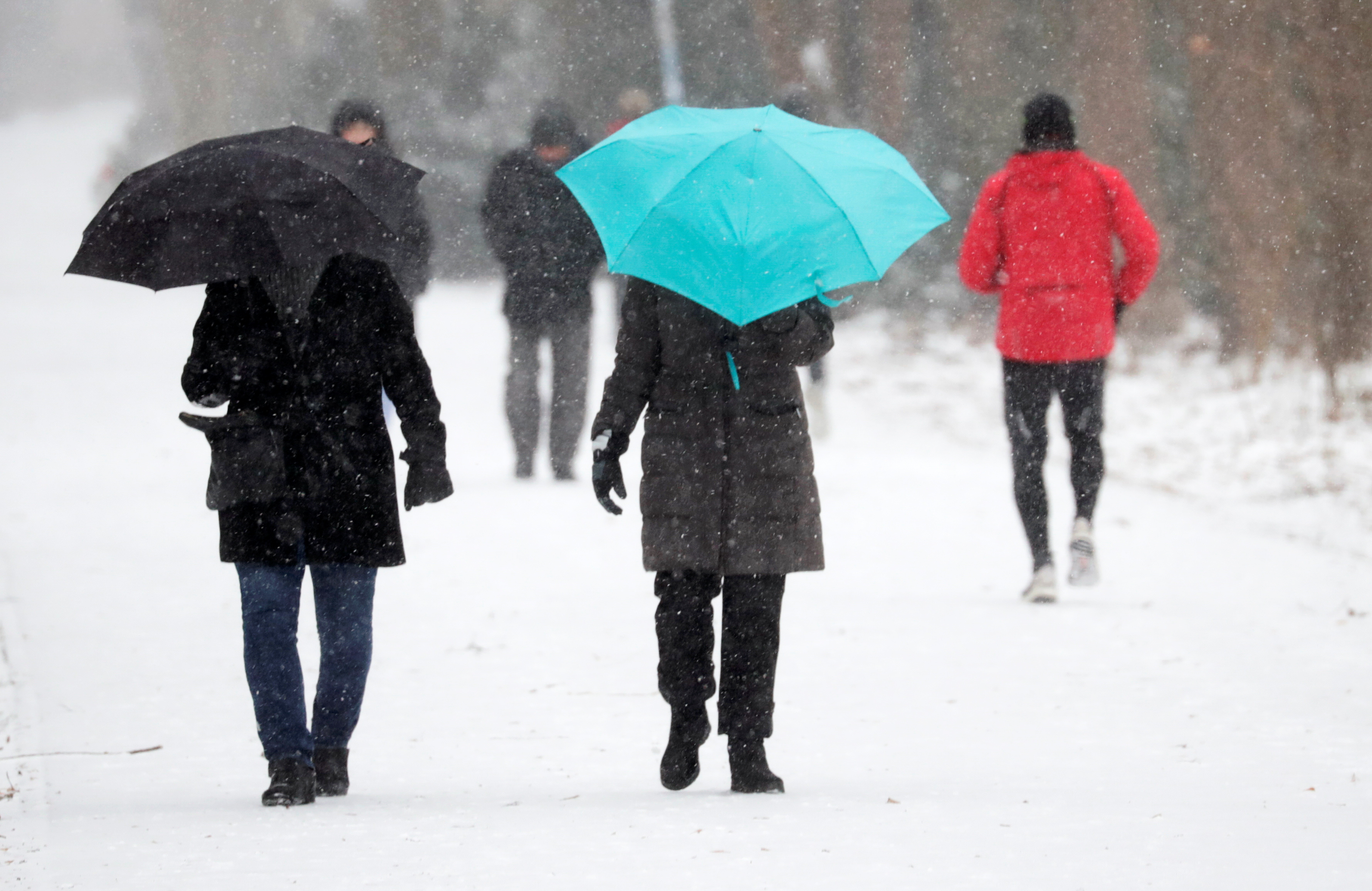 Snow dump puts northern Germany in deep freeze | Reuters