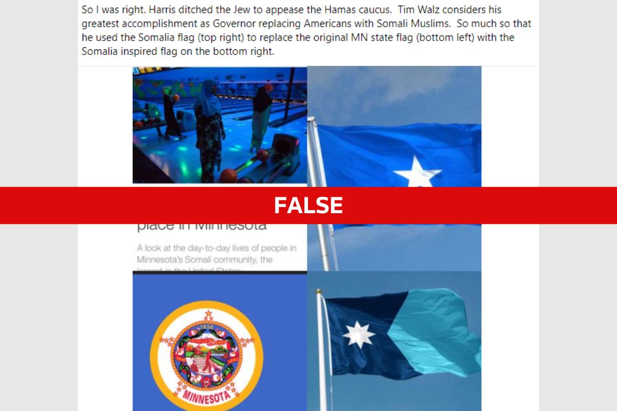 Fact Check: Minnesota flag redesign inspired by state-specific symbols ...