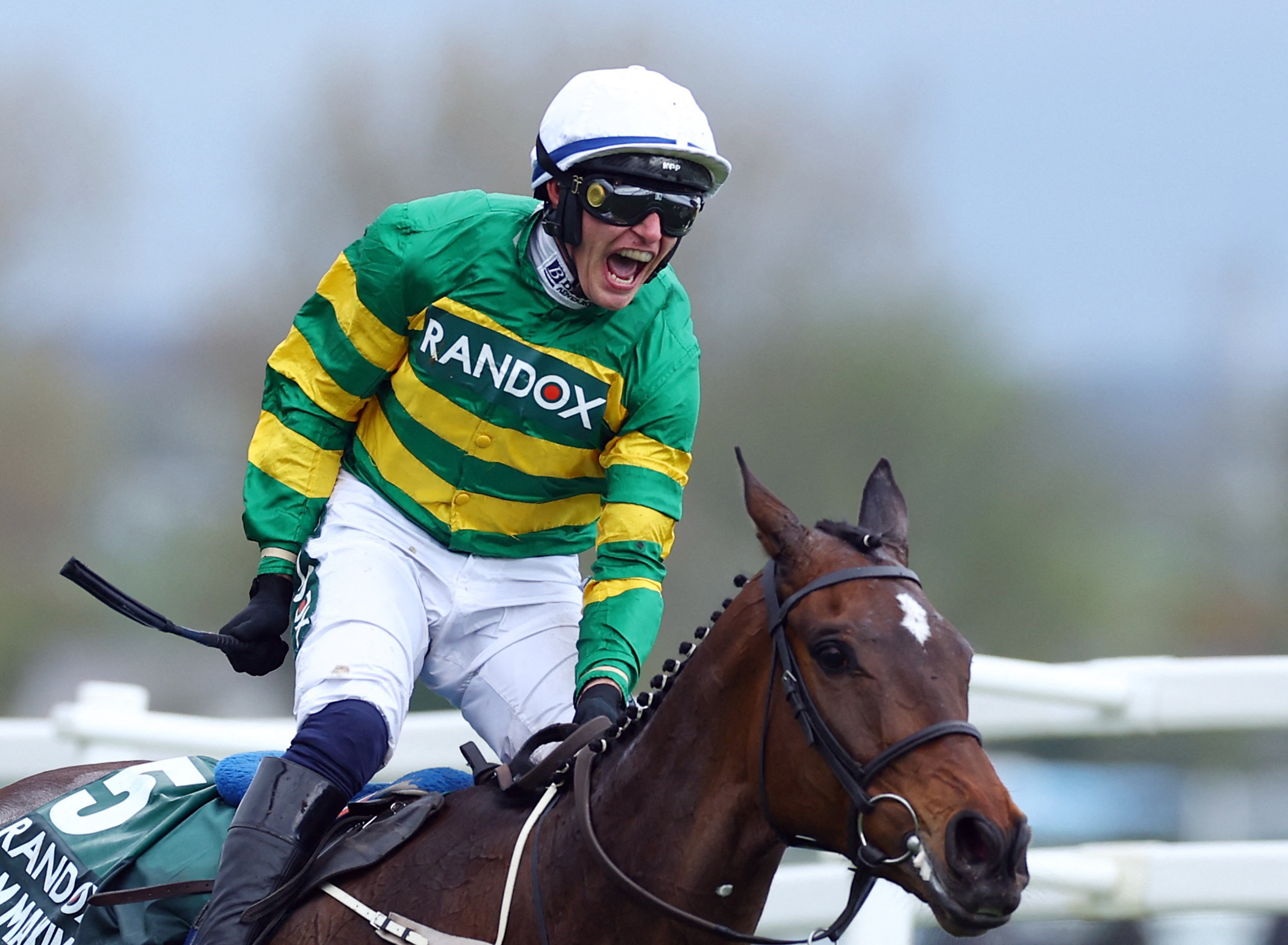 Horse racing-I am Maximus wins Grand National | Reuters