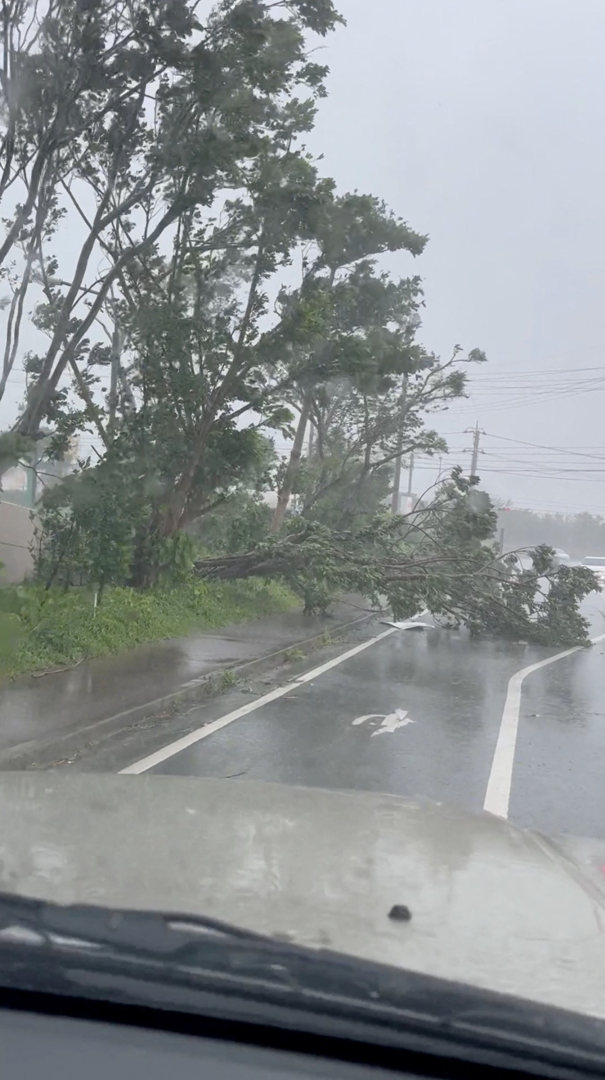 Typhoon Khanun kills one man, knocks out power to one-third of Japan's ...