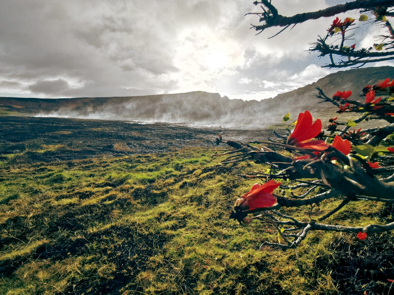 Chile's Easter Island 'Moai' statues face irreparable damage after ...