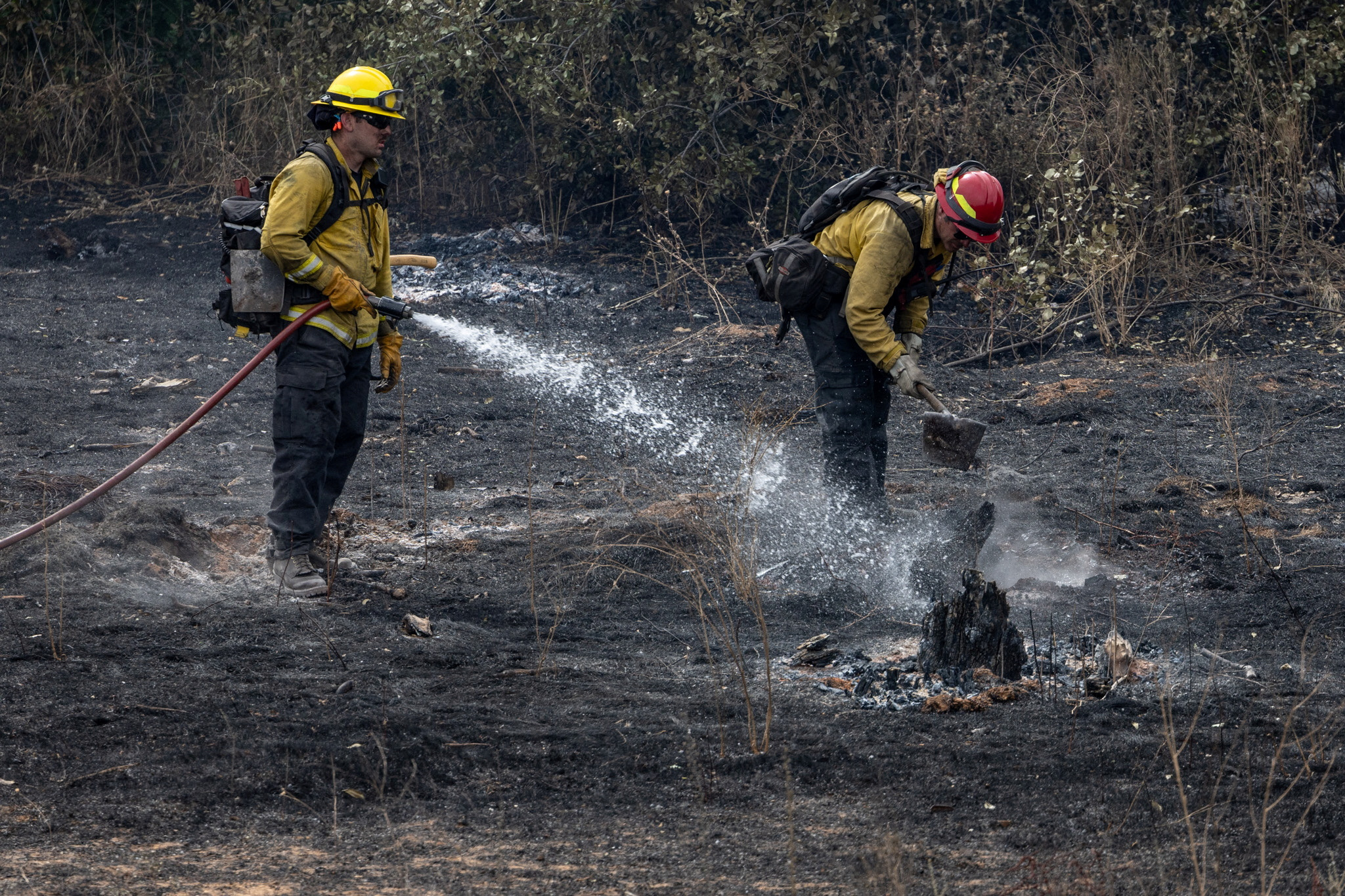 At least one dead due to New Mexico wildfires, thousands evacuated ...