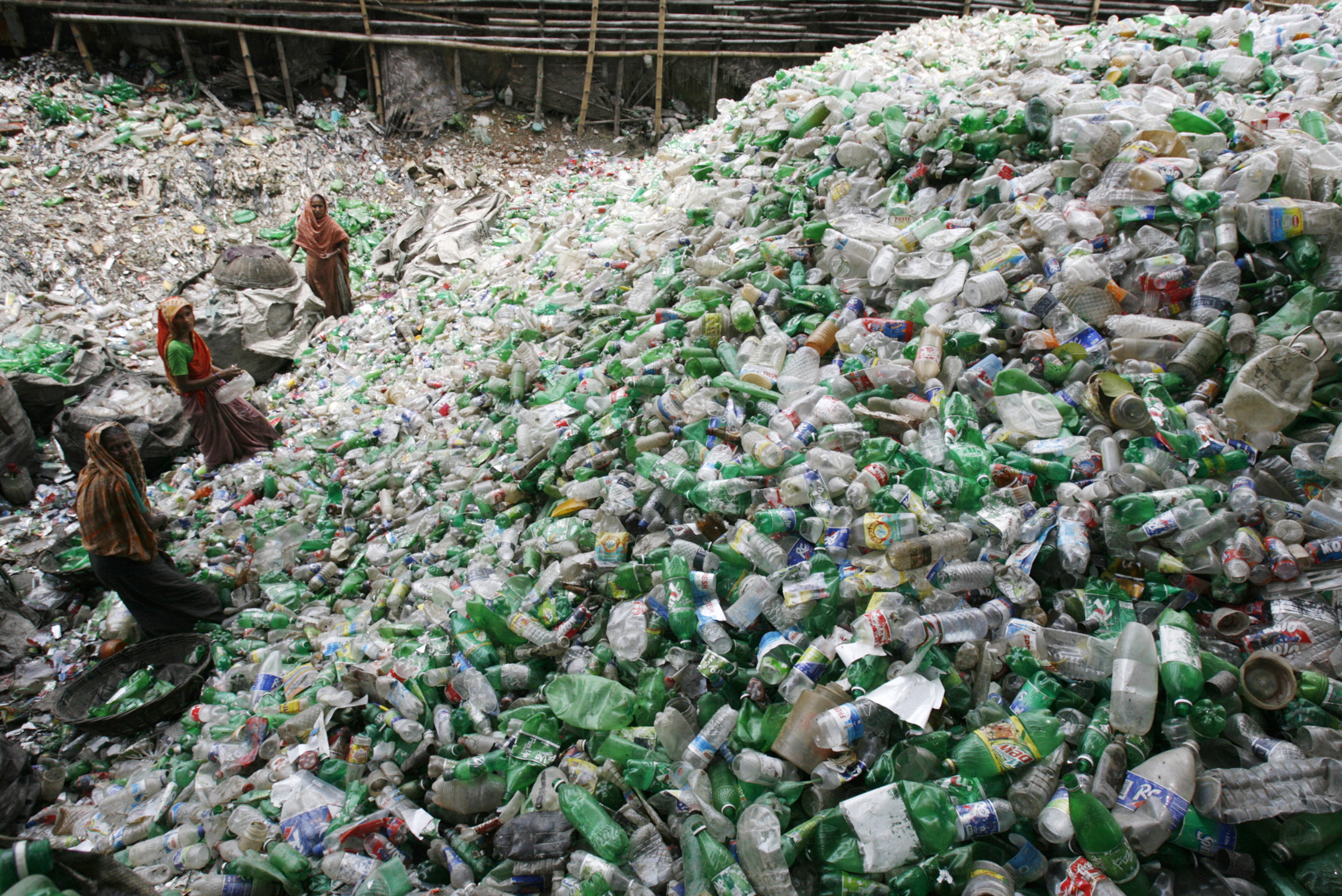 Comment: On World Environment Day, it's time for brands to cut the ...