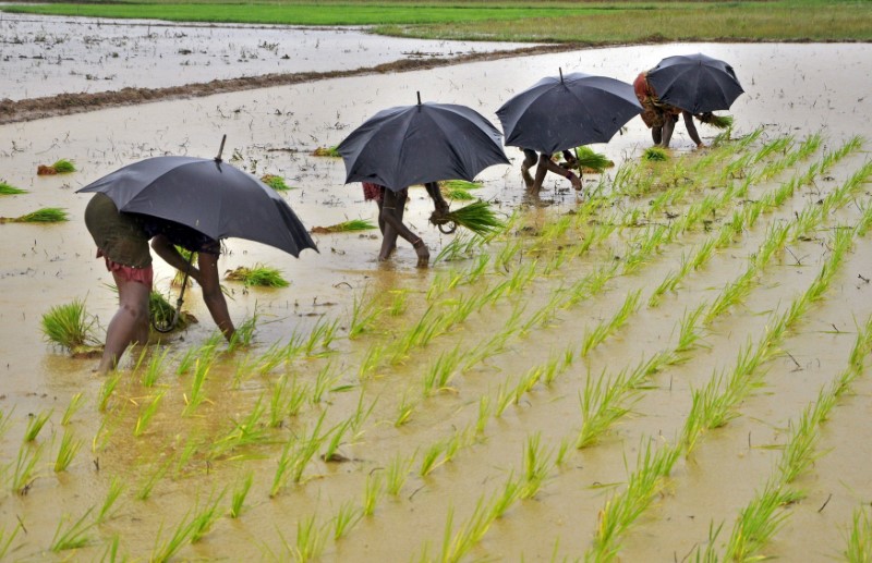 Monsoon covers two-third of India earlier than usual, to accelerate ...