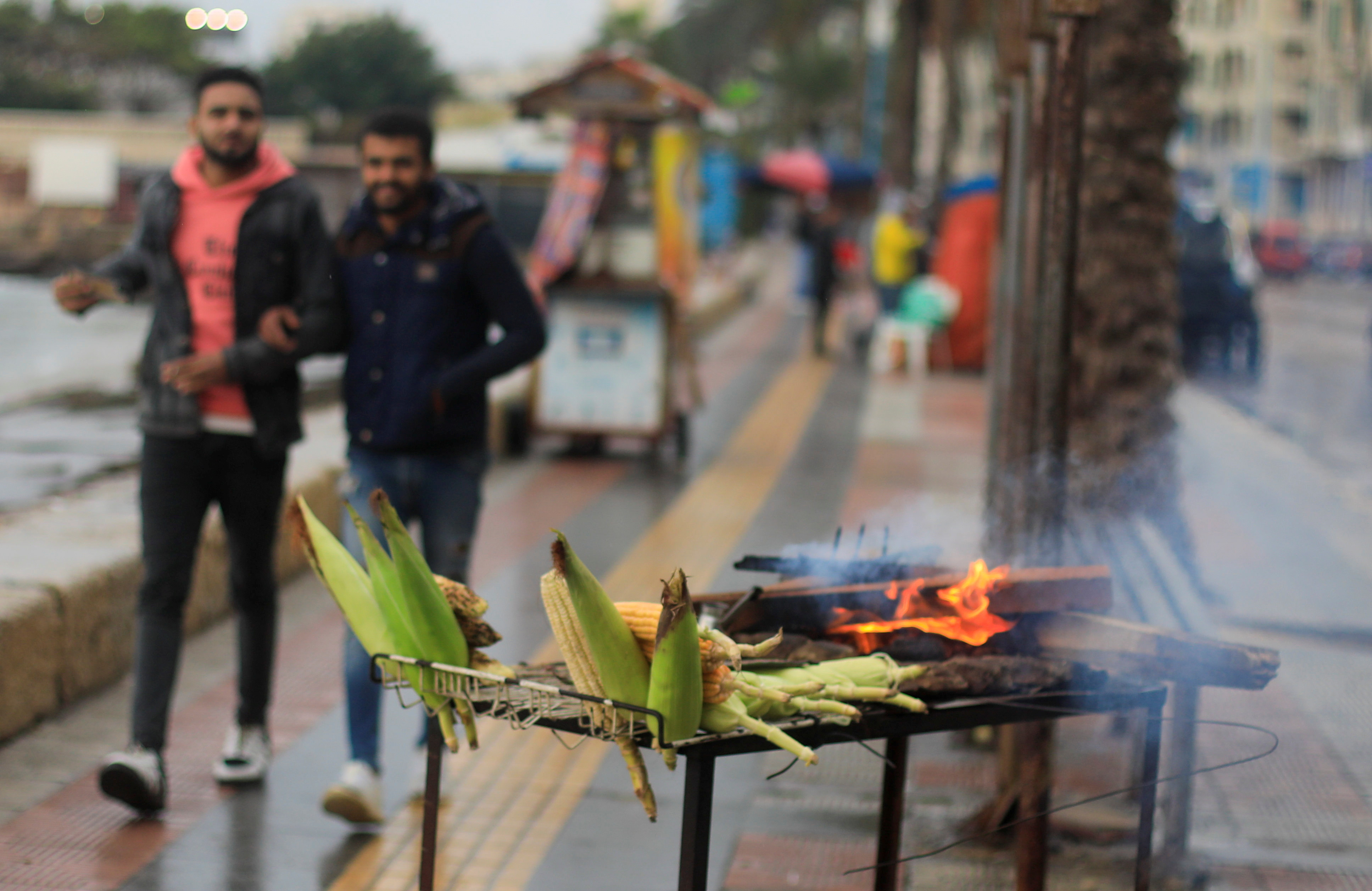 Egypt begins offering corn on commodities exchange | Reuters