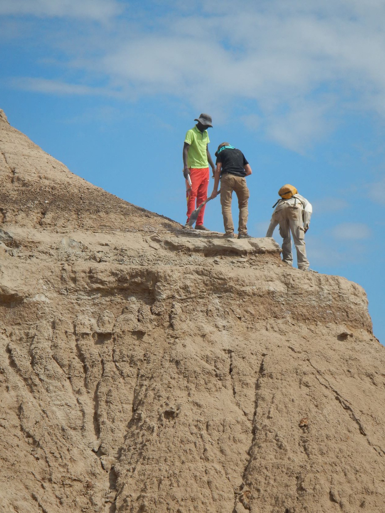 Older date for Ethiopian fossils sheds light on rise of Homo sapiens ...